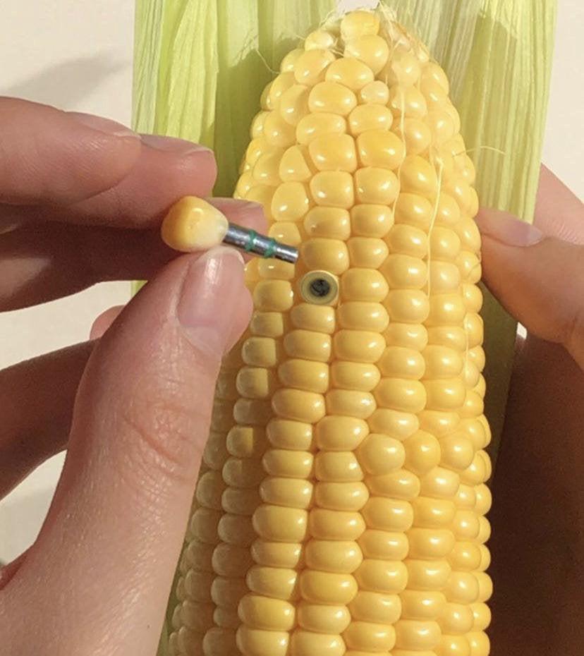 Blursed_Corn | Scrolller