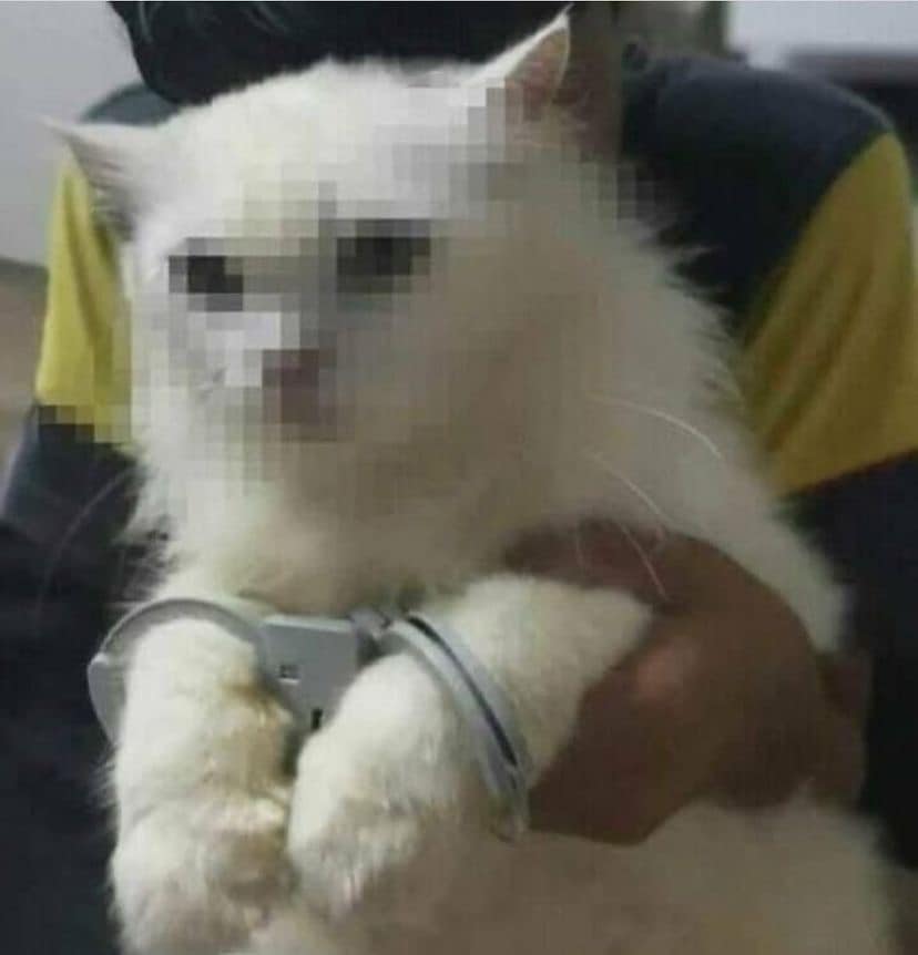 blursed_Criminal | Scrolller