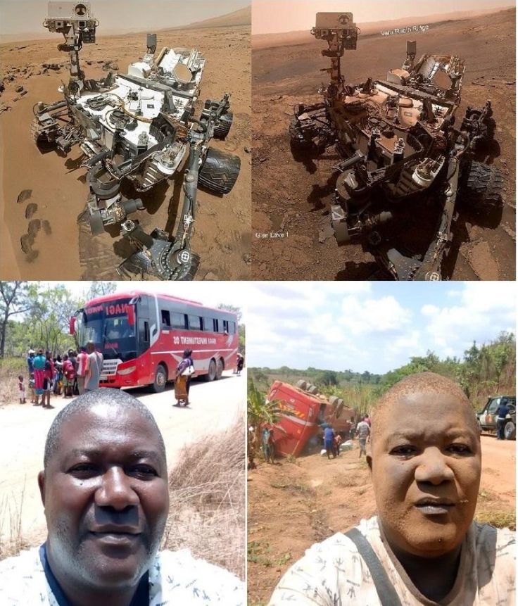 blursed curiosity | Scrolller