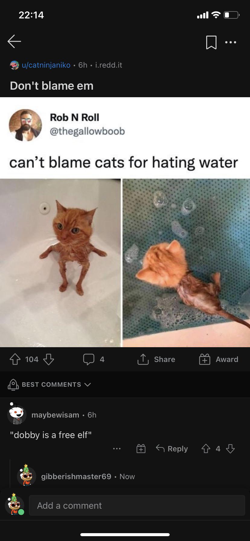 Blursed_dobbycat | Scrolller