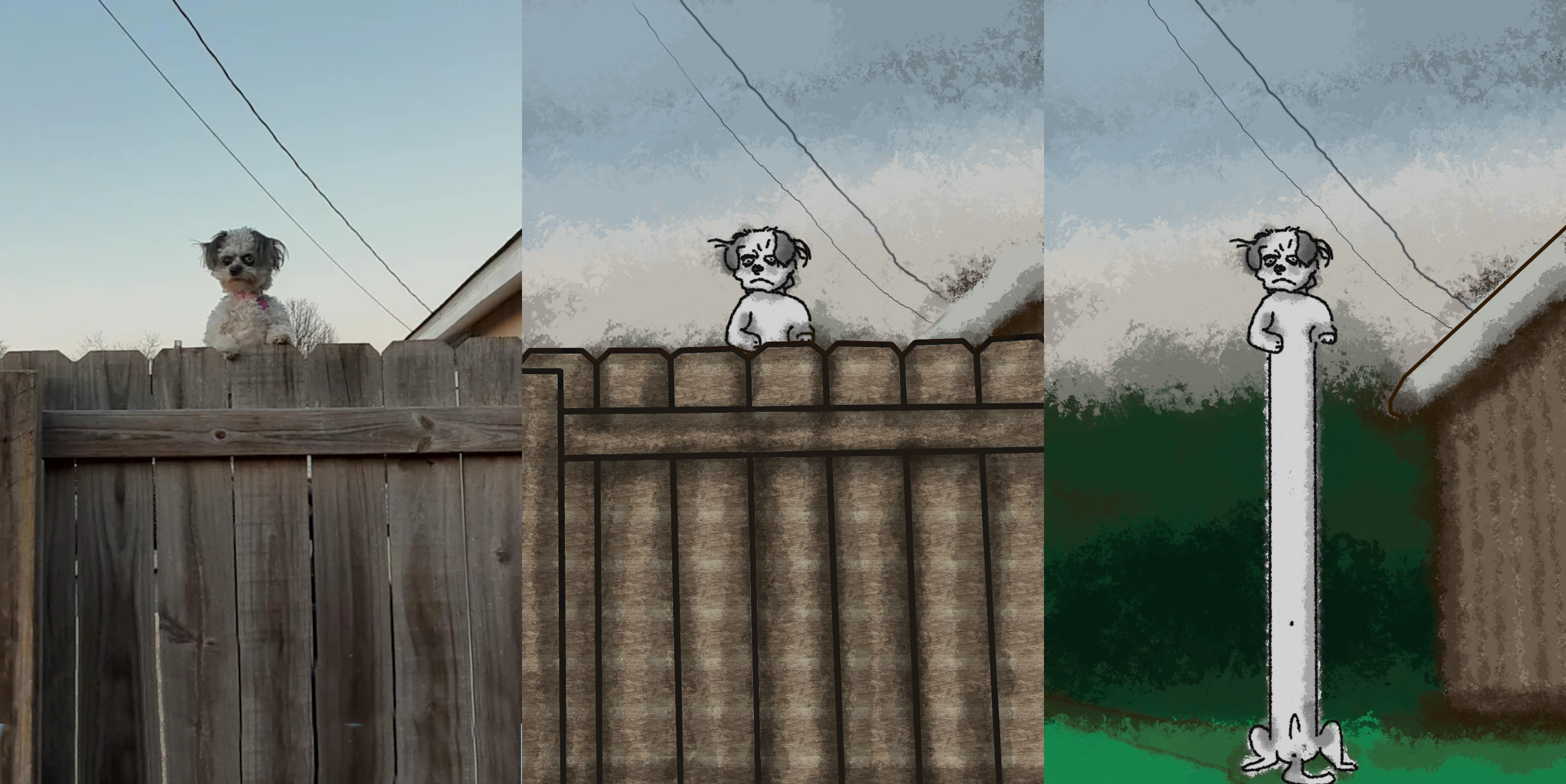 blursed_dog | Scrolller