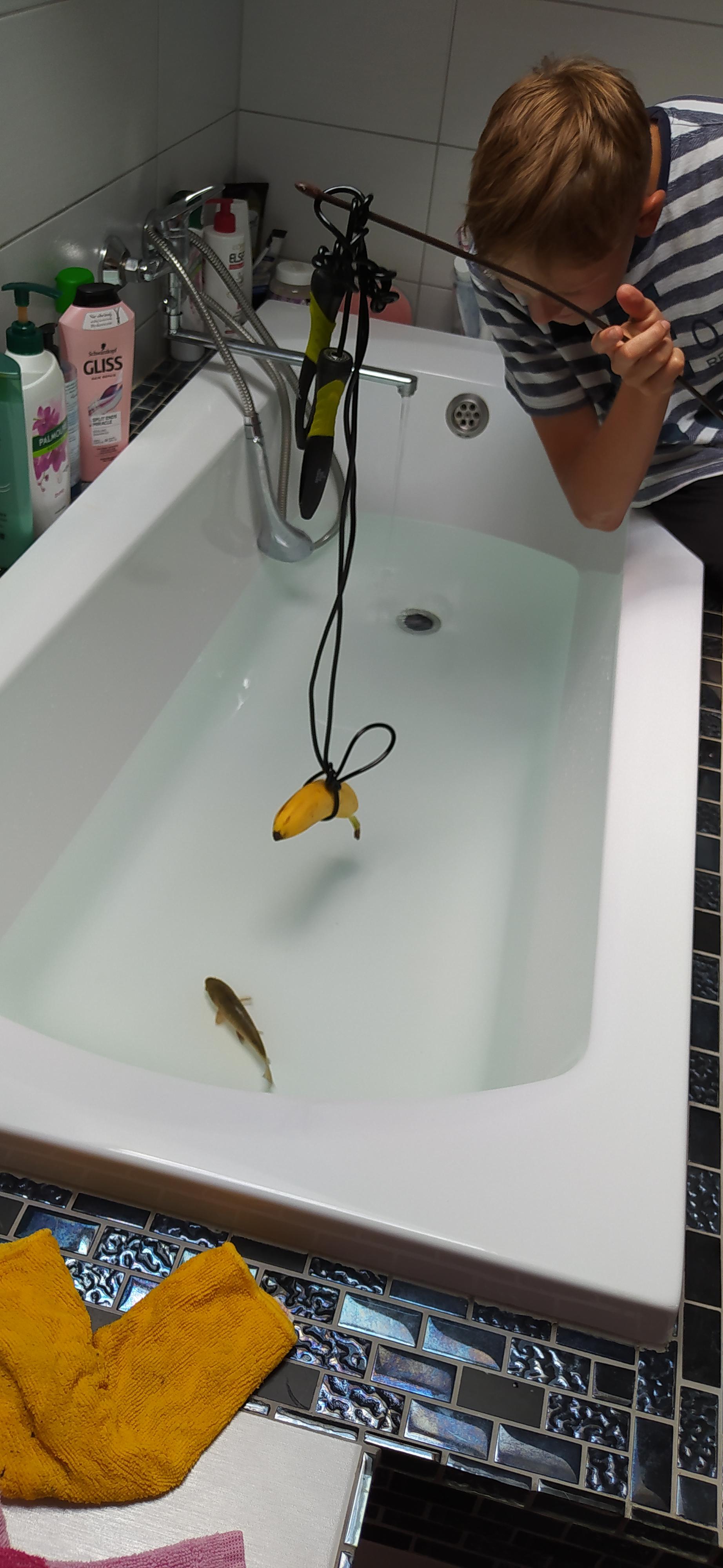 Blursed fishing | Scrolller