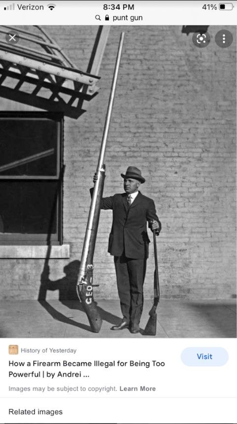 Blursed Gun | Scrolller