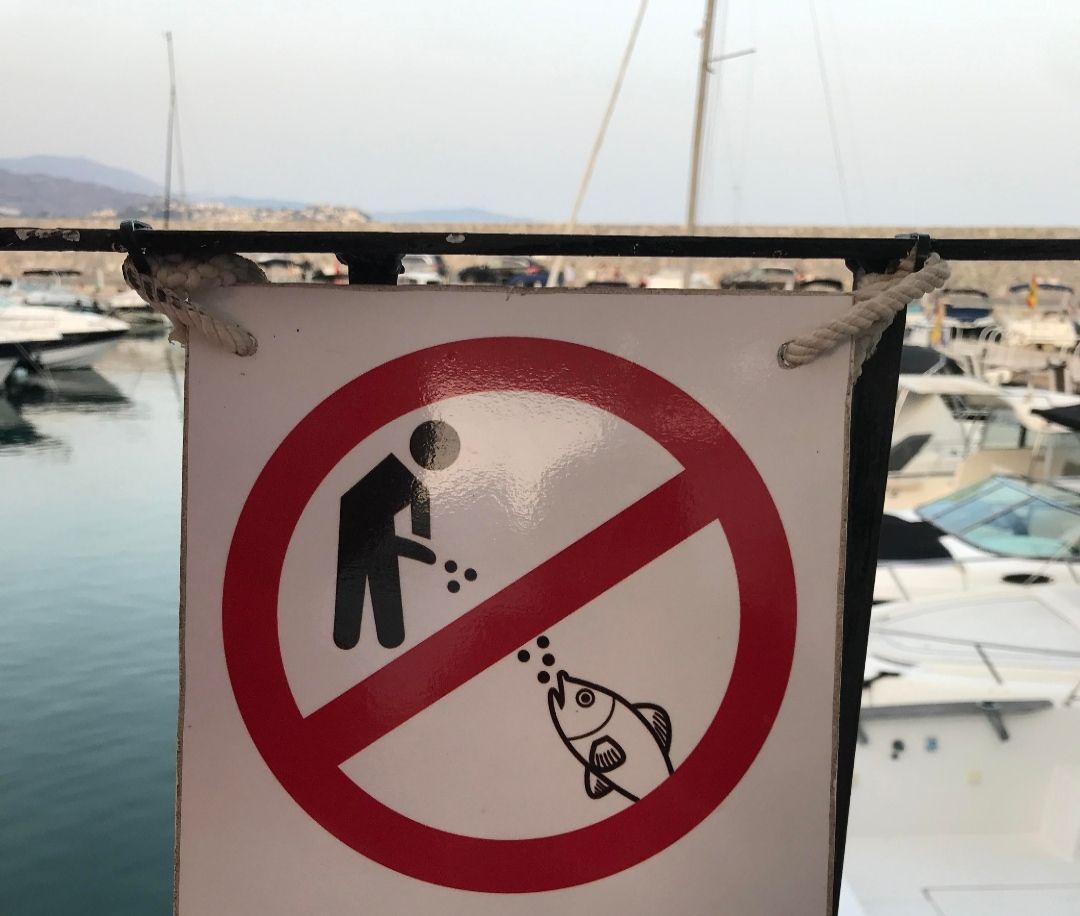 Blursed no feeding sign | Scrolller