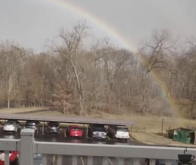 blursed_rainbow | Scrolller