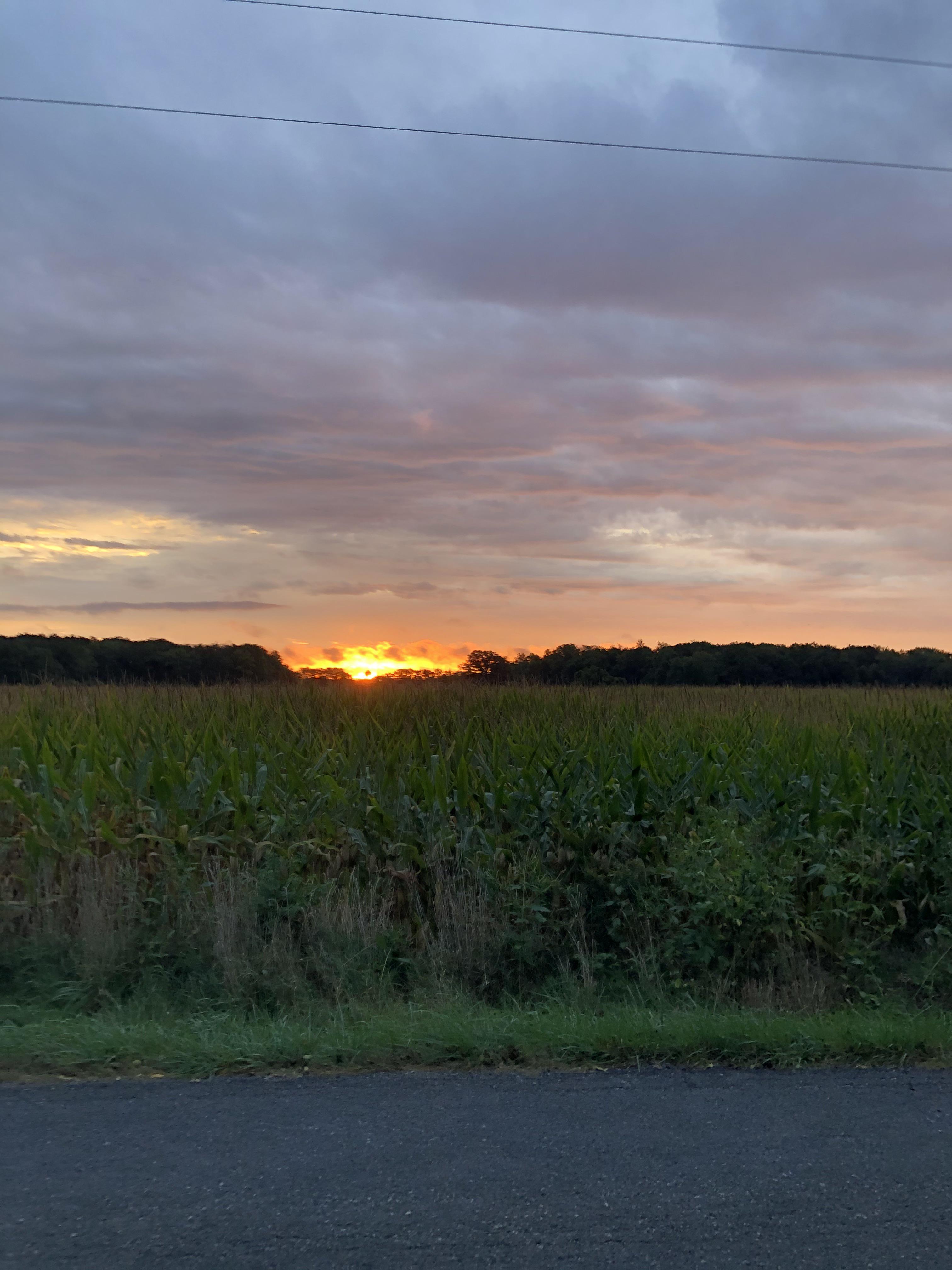 Blursed sunrise | Scrolller