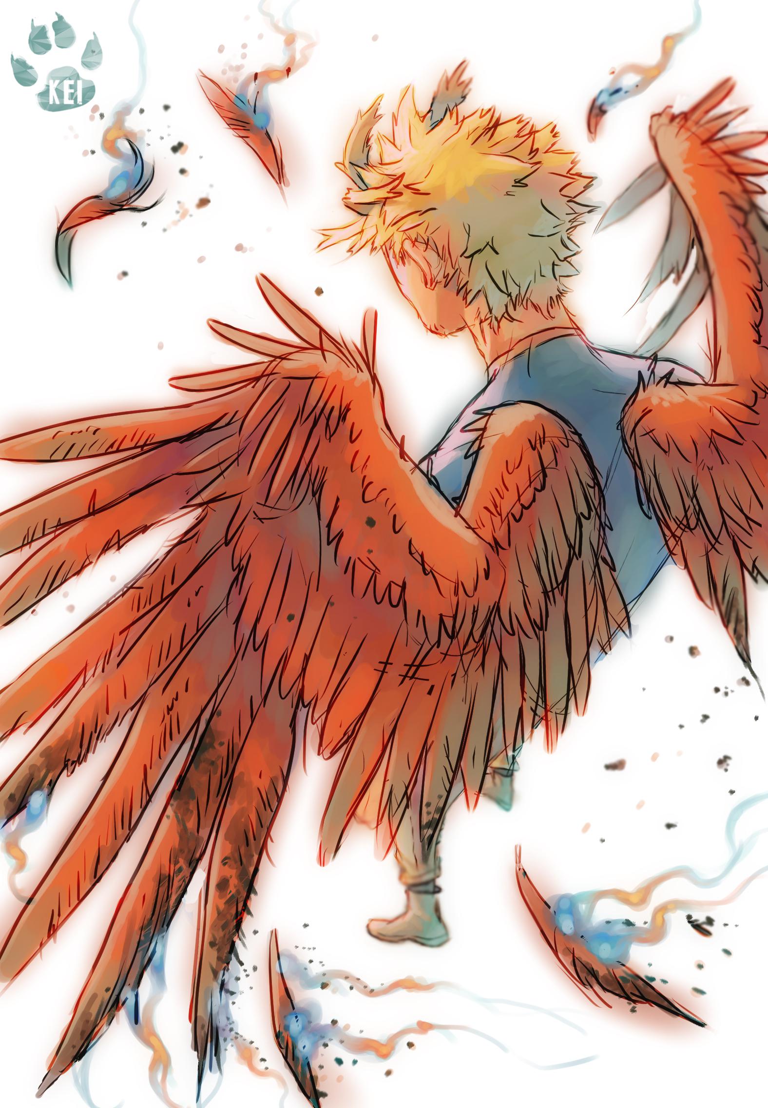 BNHA Hawks | Scrolller