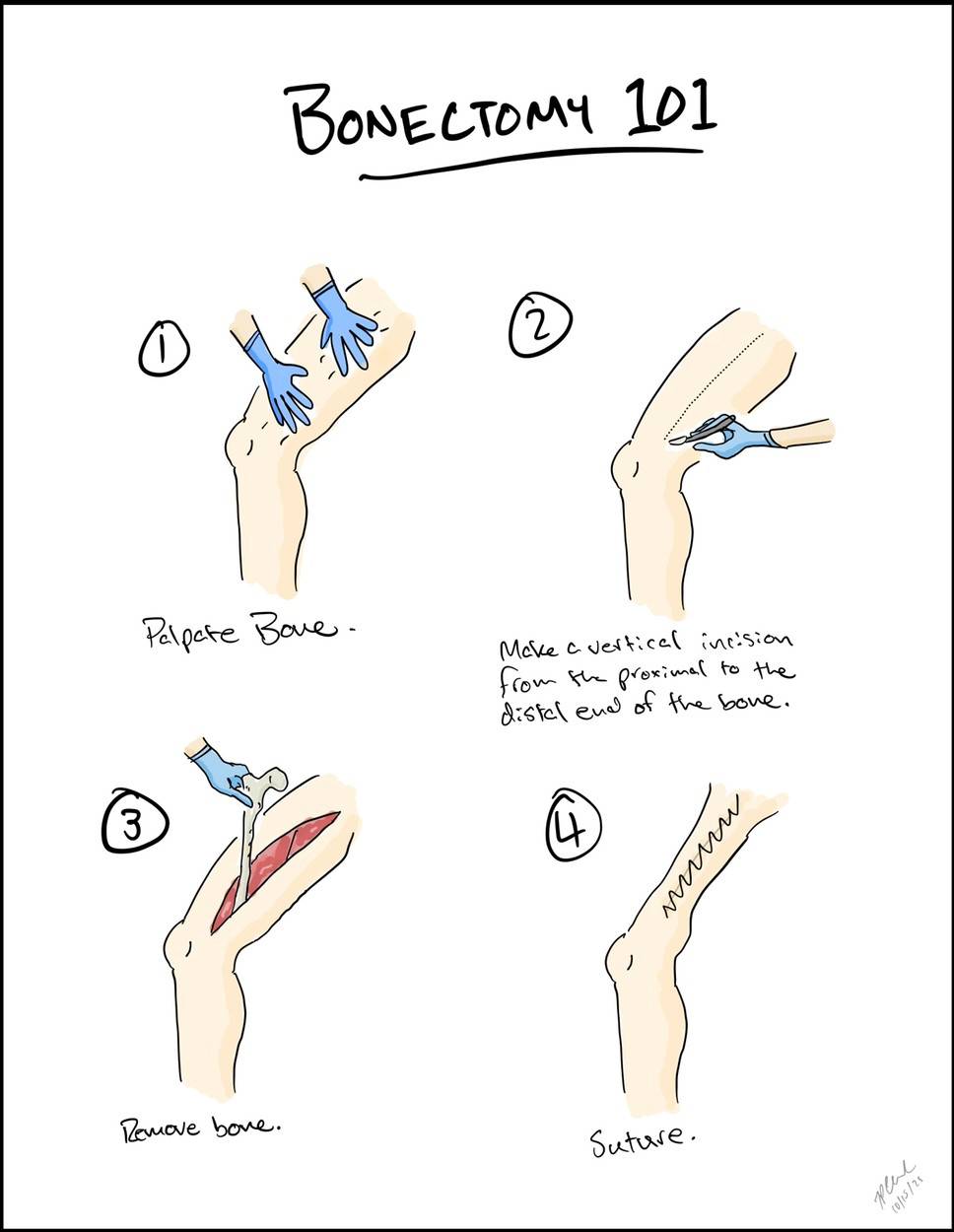 BONE docter [OC] | Scrolller