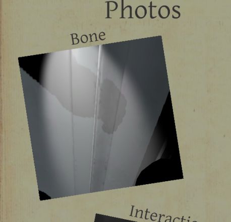 Bone? Wrong type of bone.... | Scrolller