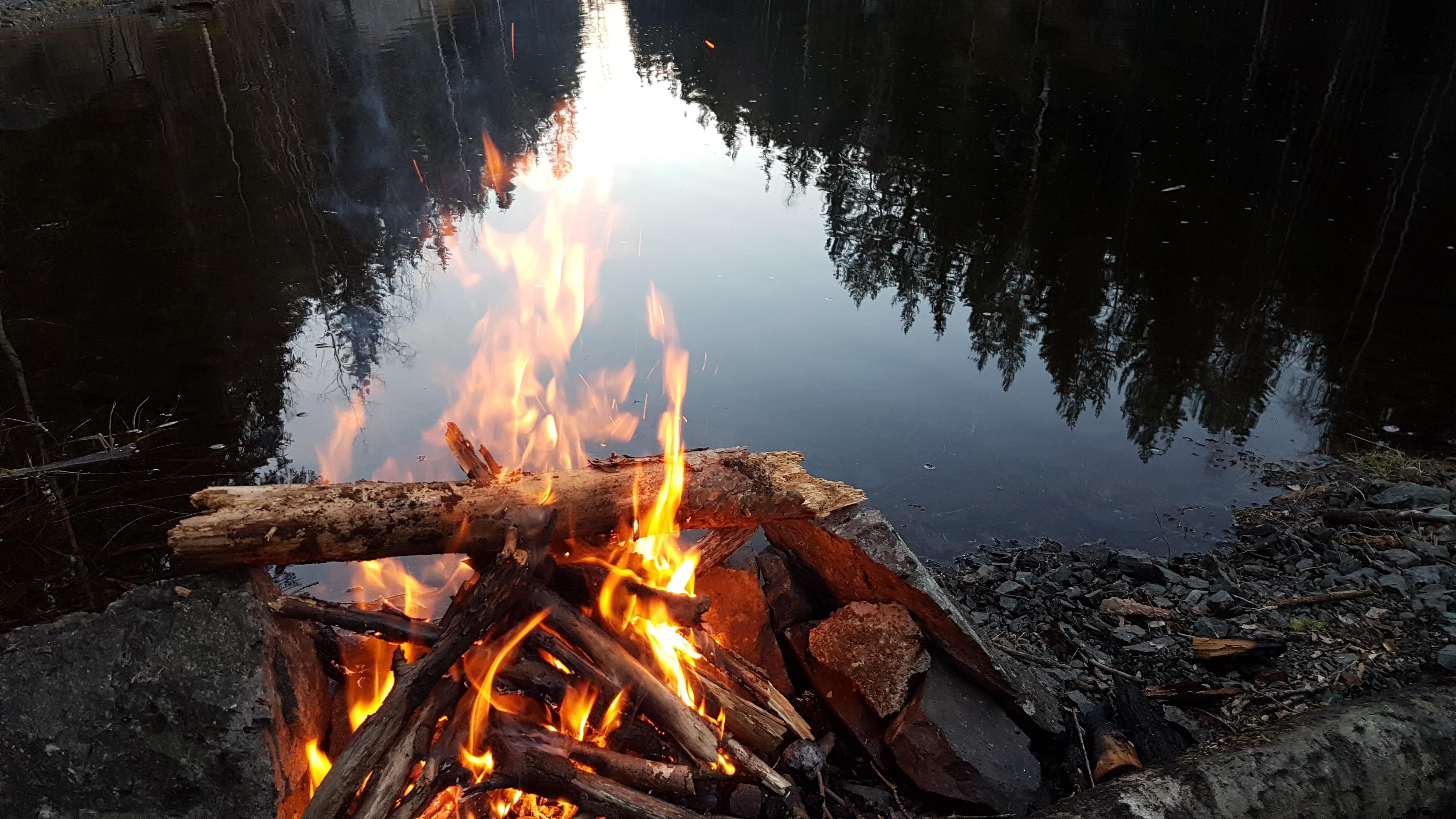 Bonfire and forest is a perfect fit | Scrolller