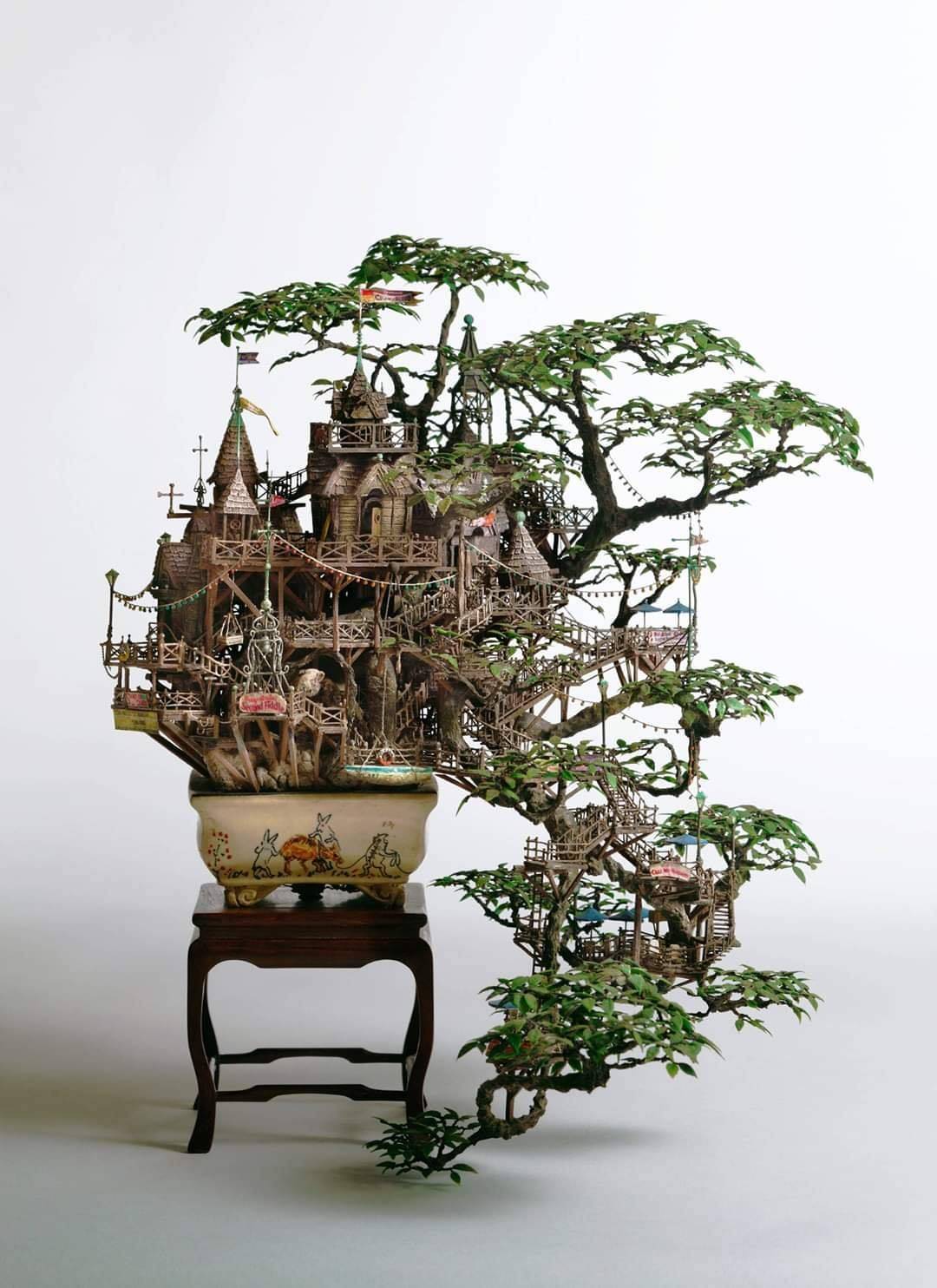 Bonsai by Takanori Aiba | Scrolller