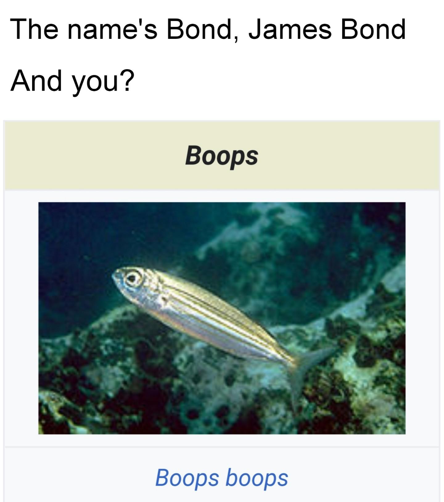 Boops ⠀⠀⠀⠀ ⠀⠀⠀⠀⠀⠀ | Scrolller