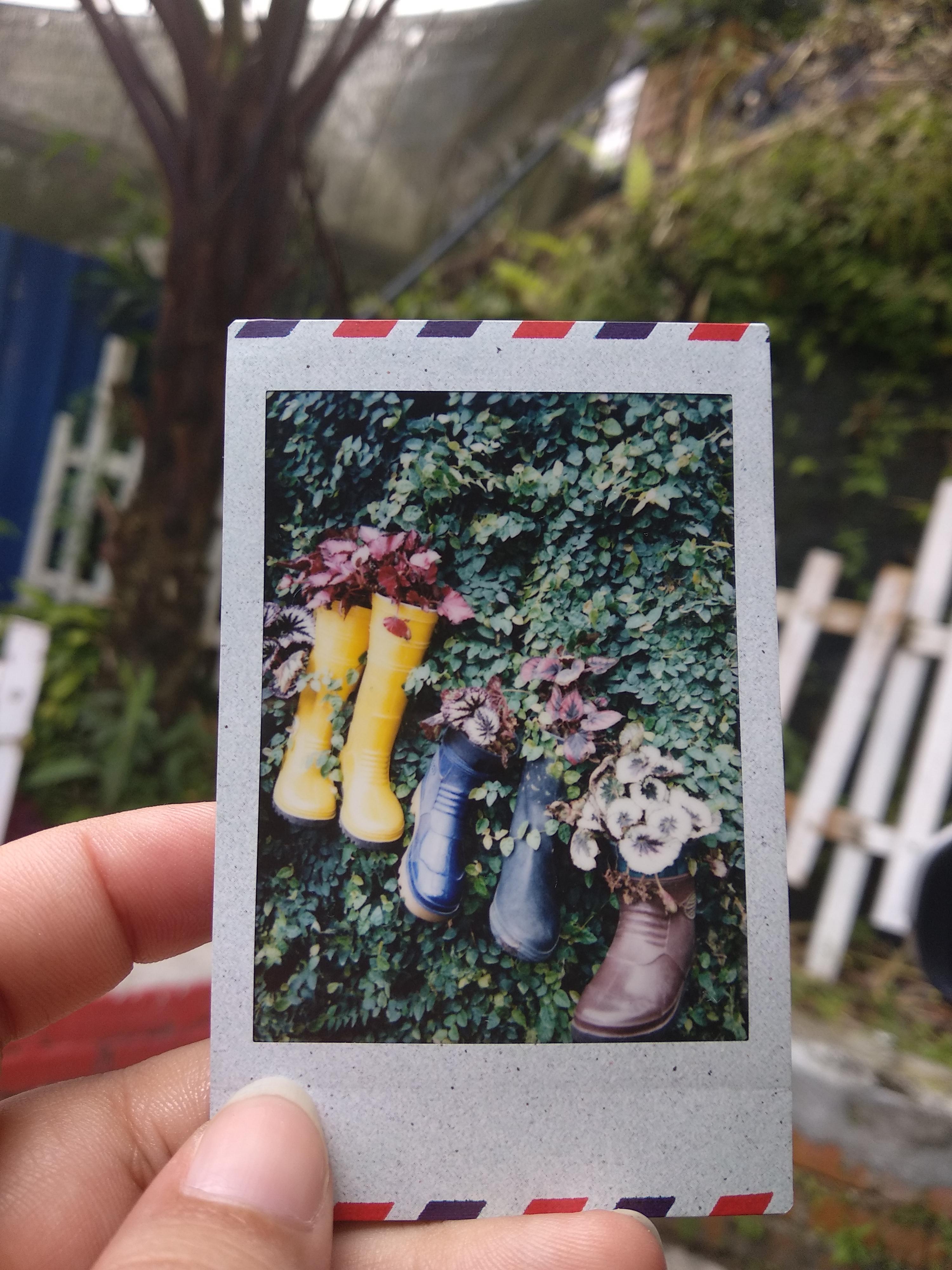 Boots all grown. (Mini90, Airmail film) | Scrolller