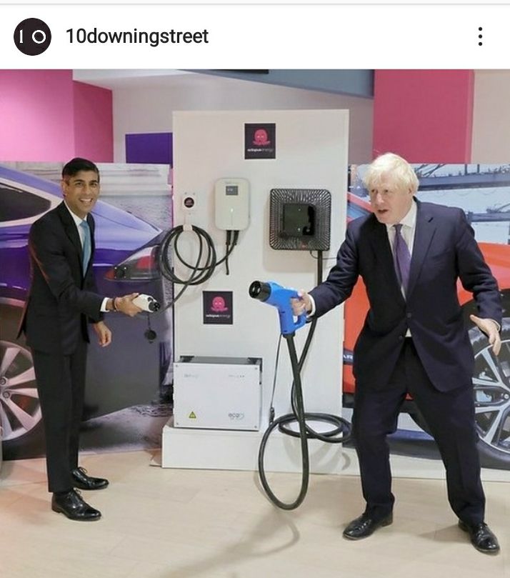 Boris on a sate | Scrolller