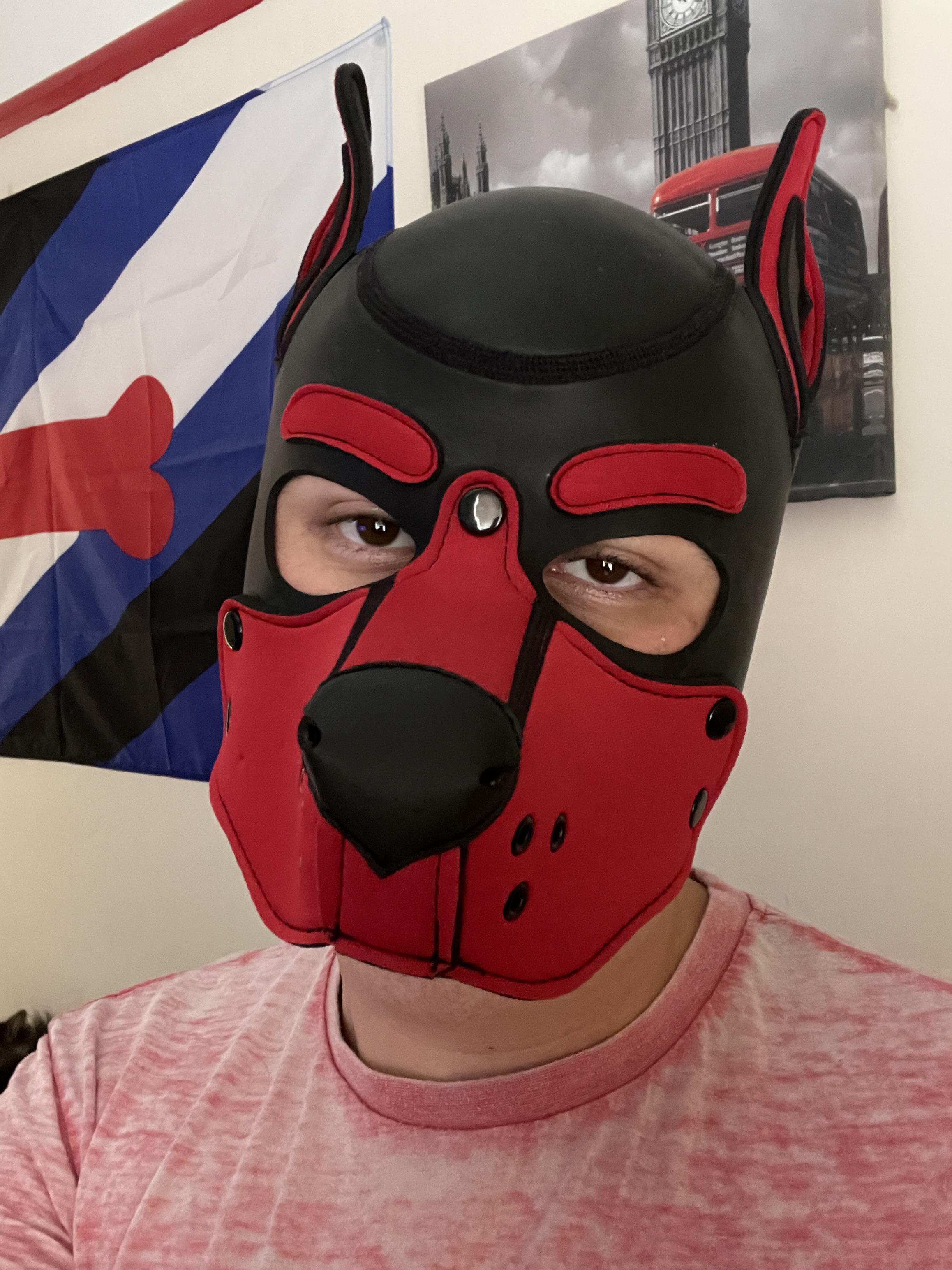 Discover more like PupPlay: Bork ️ Rocket Here, 21, Gay, DL 🍼, UK 🇬🇧 ...