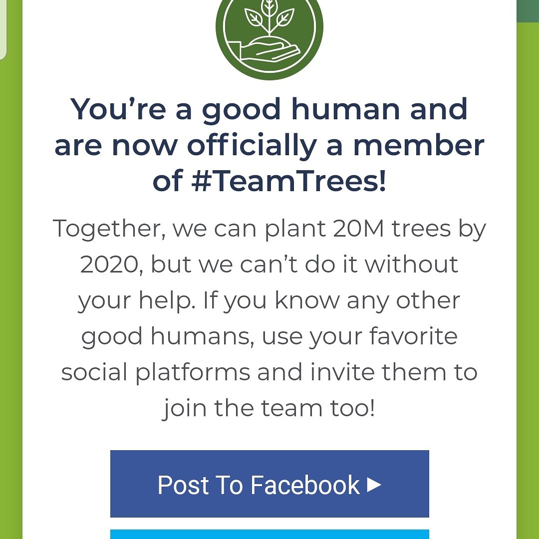 Bought 5 trees | Scrolller