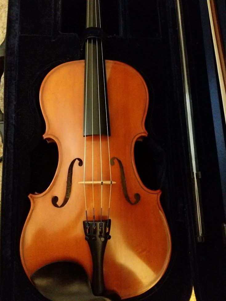 Bought my first viola! | Scrolller