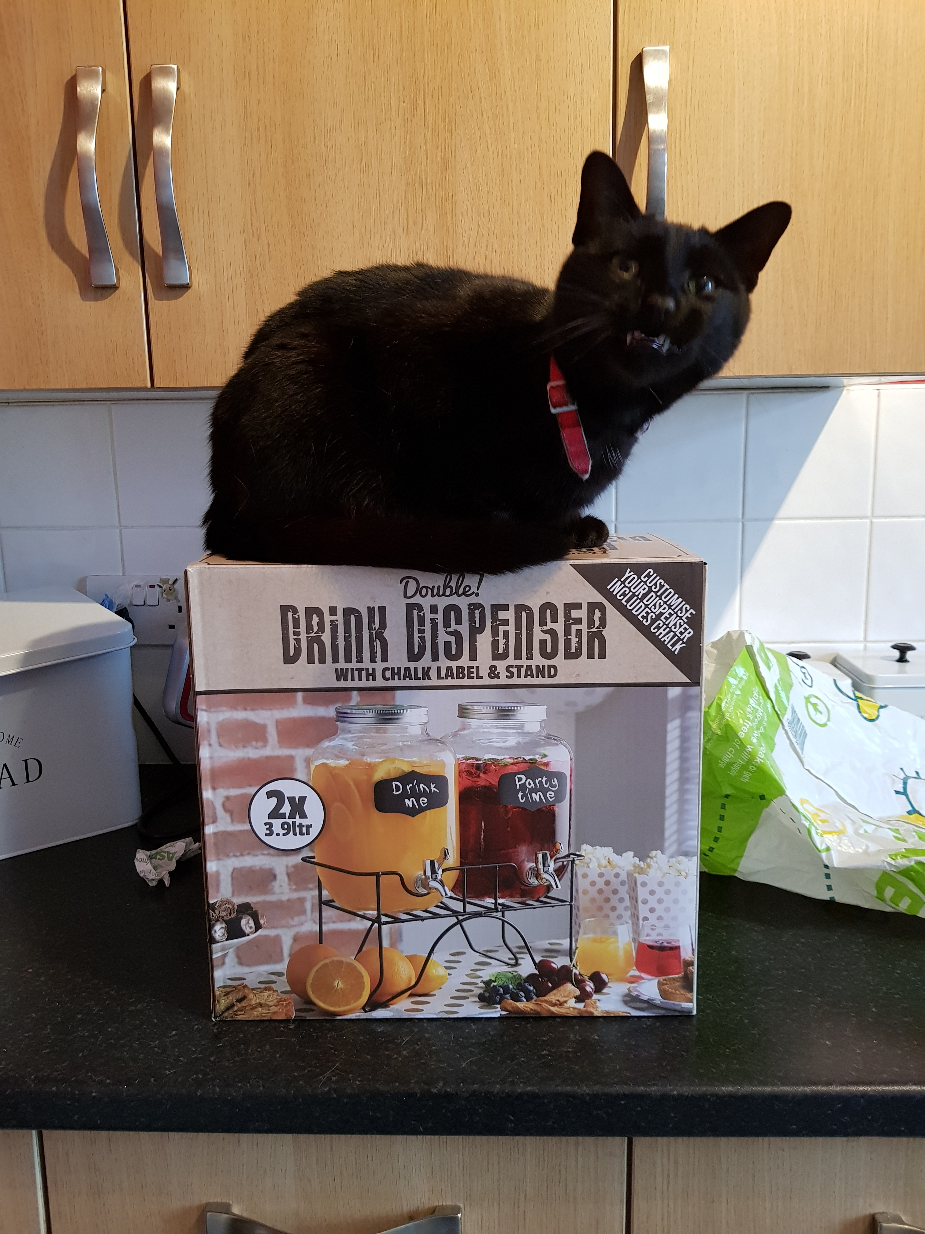 Box scrunge | Scrolller