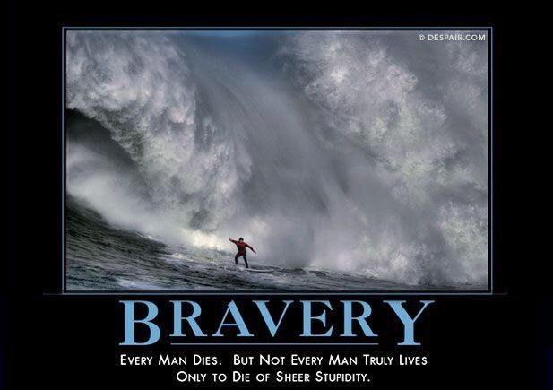 Bravery | Scrolller