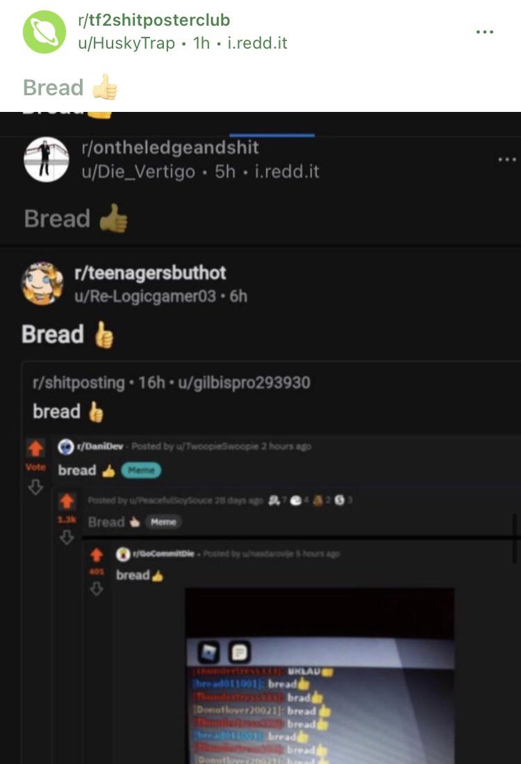 Bread 👍 | Scrolller