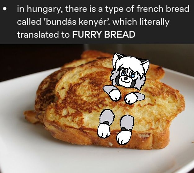 bread_irl | Scrolller