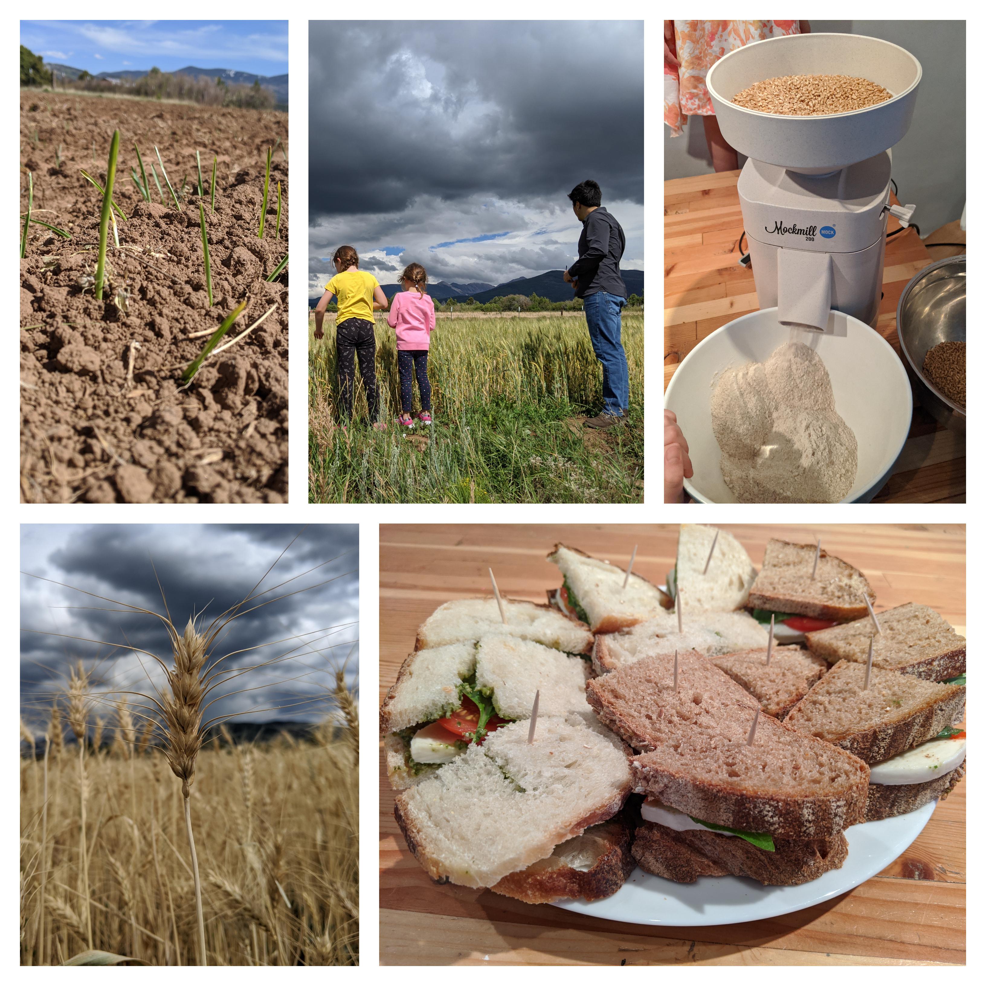 Bread making getting really out of control | Scrolller