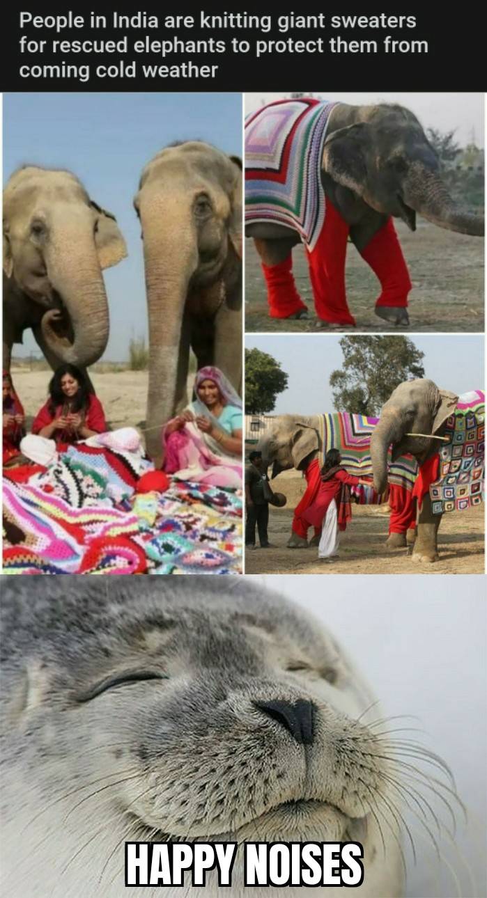 Break from Stock confusion | Scrolller