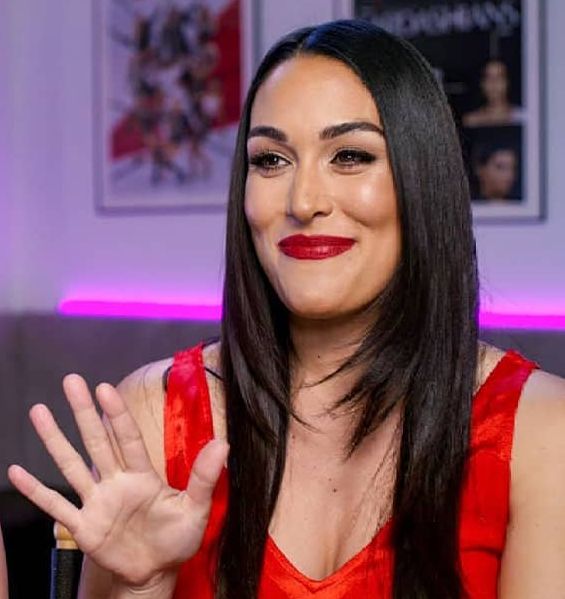 Brie Bella's Face Is So Fuckable | Scrolller