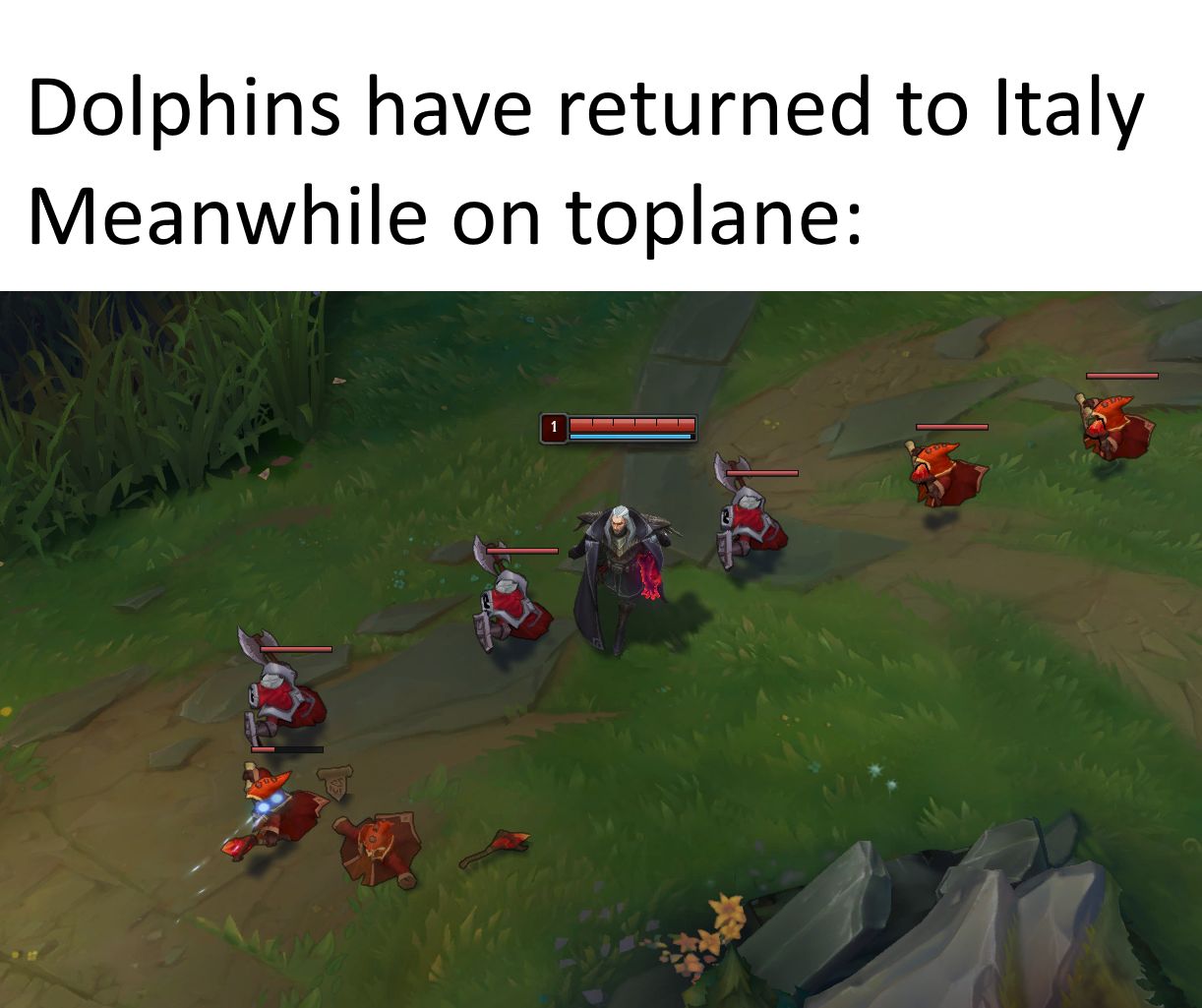 Bring him back riot | Scrolller