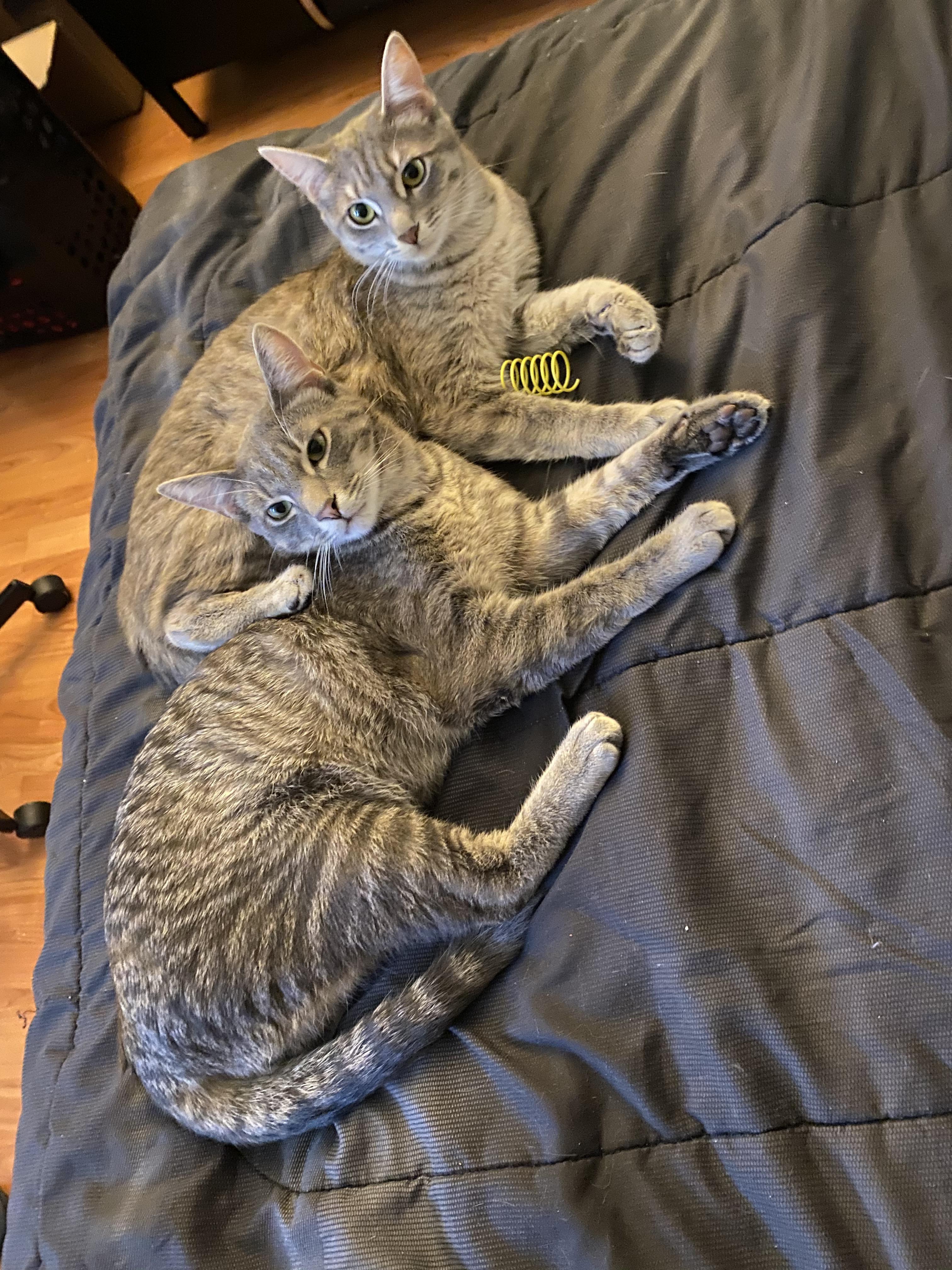 brother & sister | Scrolller