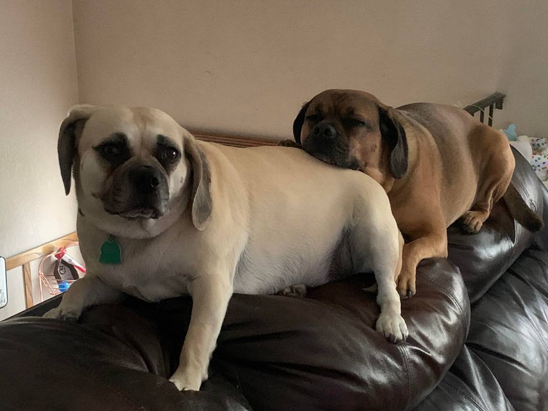 Brother from another mother and sister from different mister | Scrolller