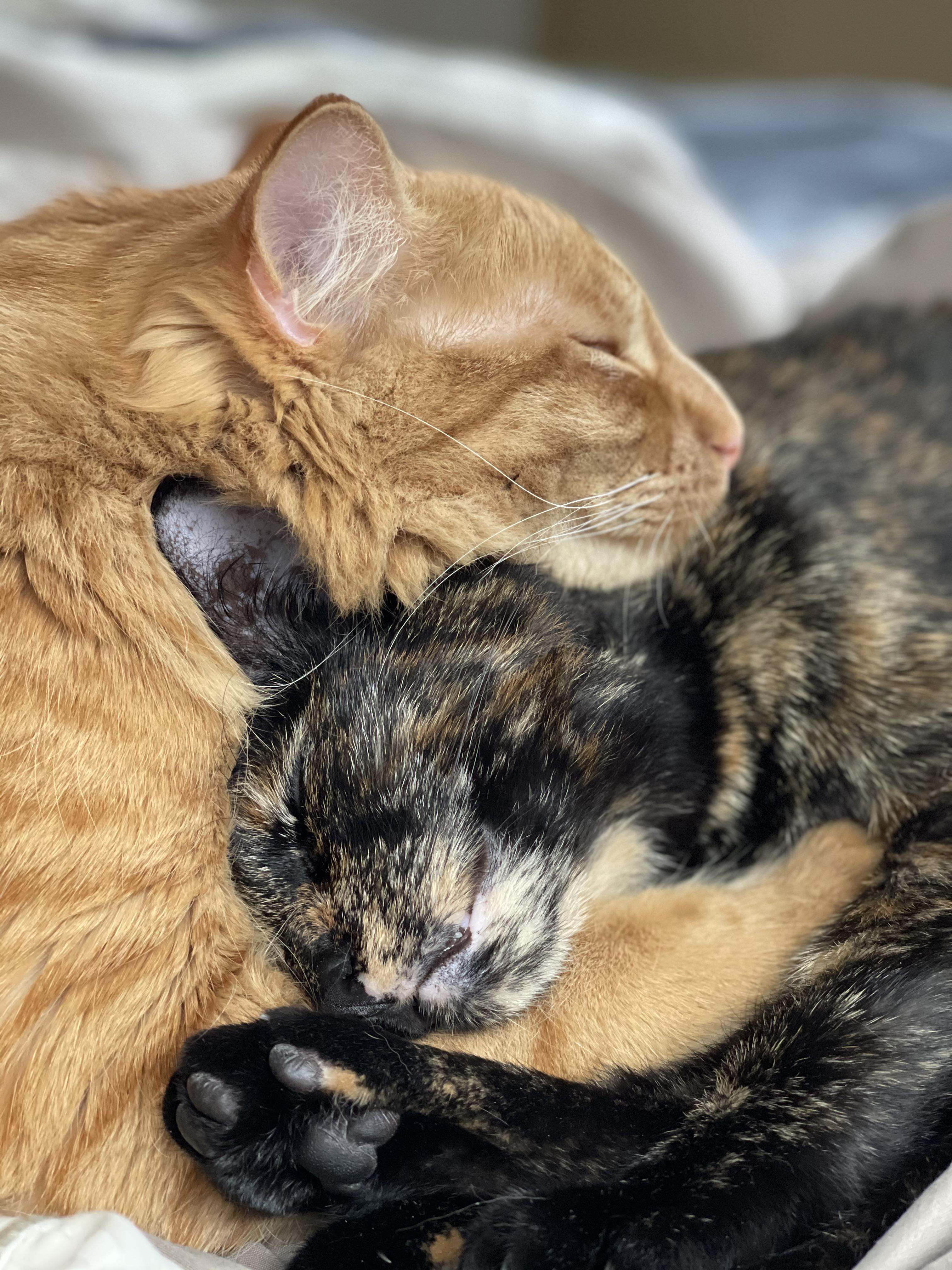 Brother sister love! | Scrolller