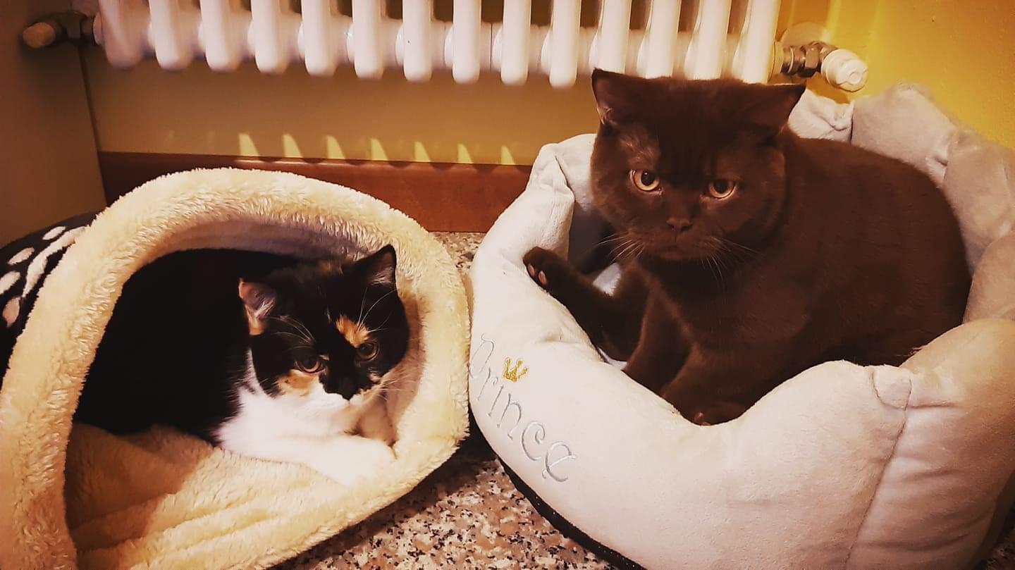 Brothers 🥰 Scrolller