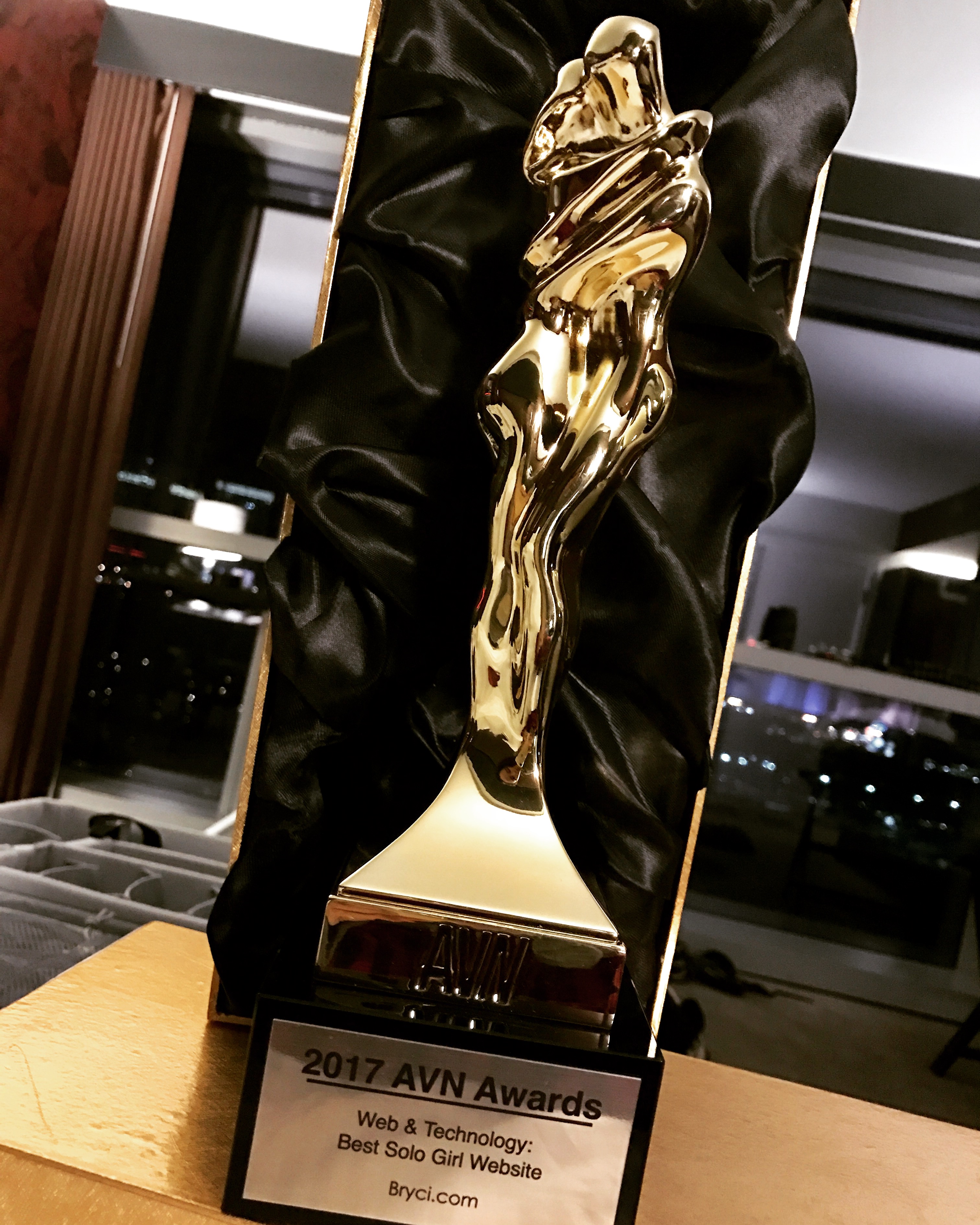 Bryci wins 2017 AVN for Best Solo Model Website! | Scrolller