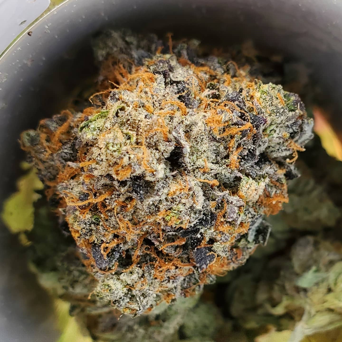 Bubba Kush * Gizmo * October | Scrolller