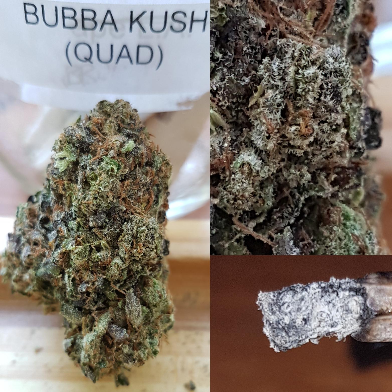 Bubba Kush (Quad) - OKG - June/19 | Scrolller