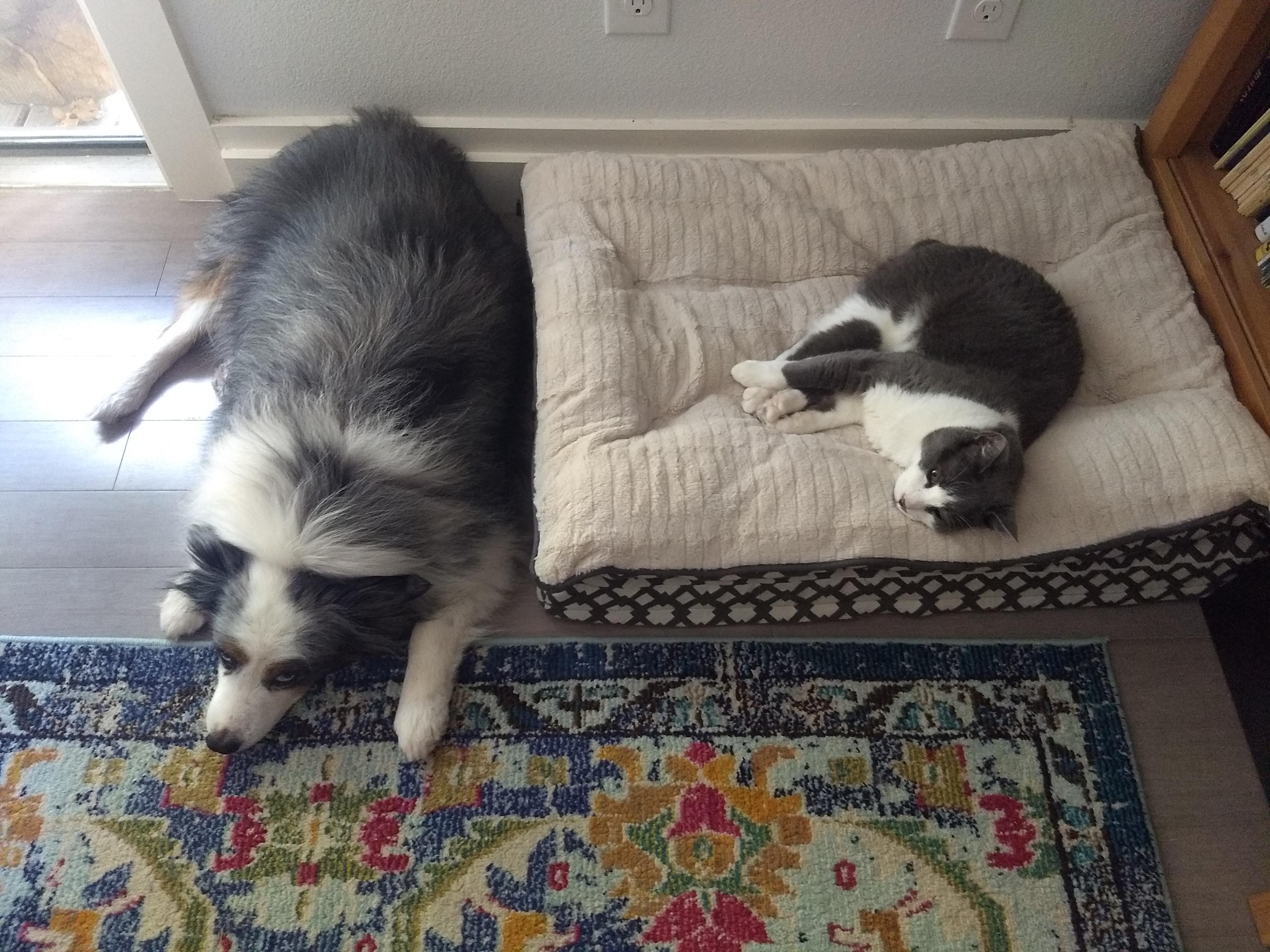 bud . . . | Scrolller