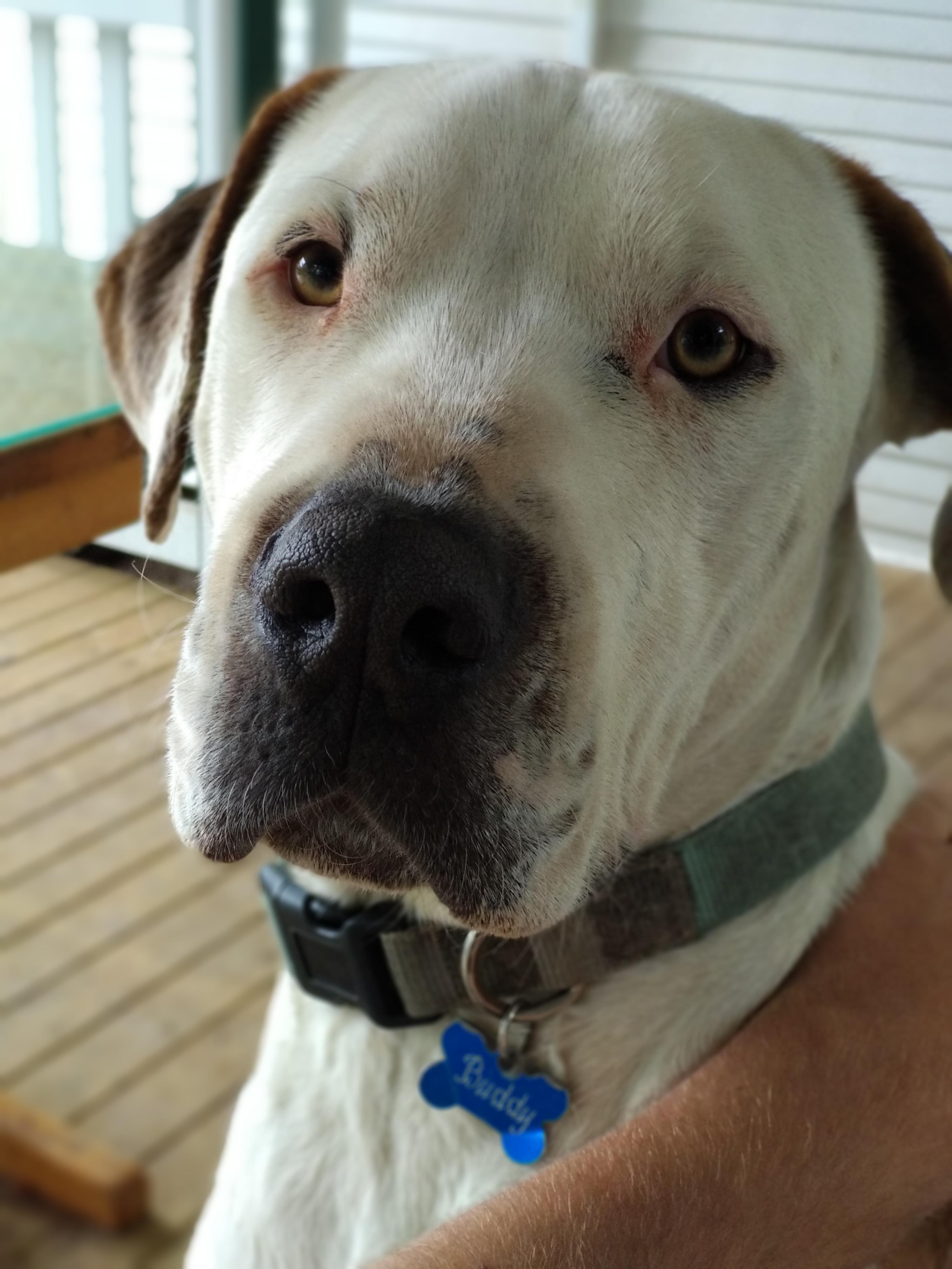 Buddy's got a big ol' head. | Scrolller