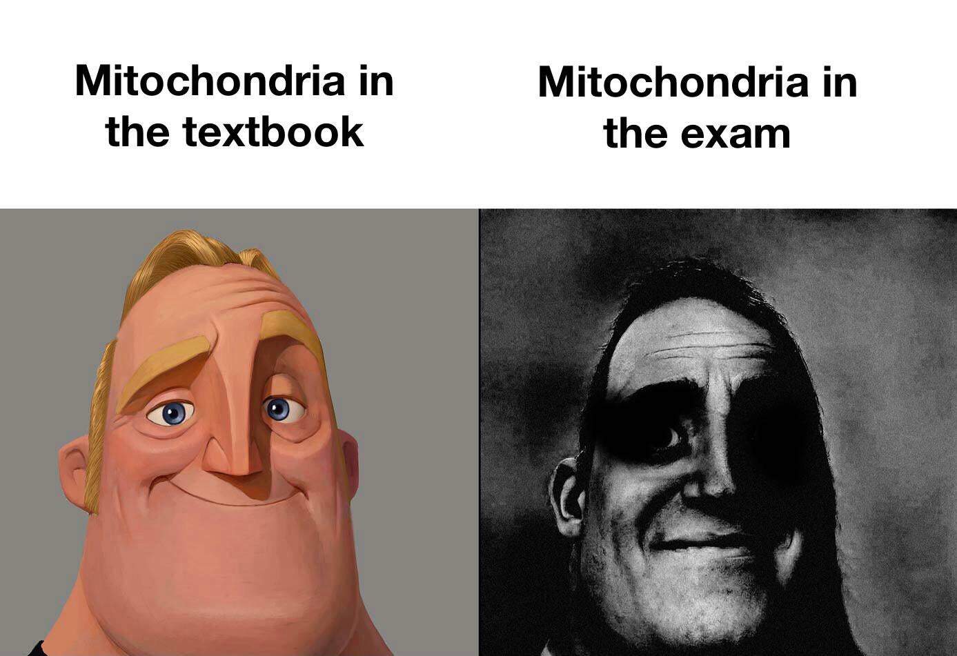 Budget title go brrr | Scrolller