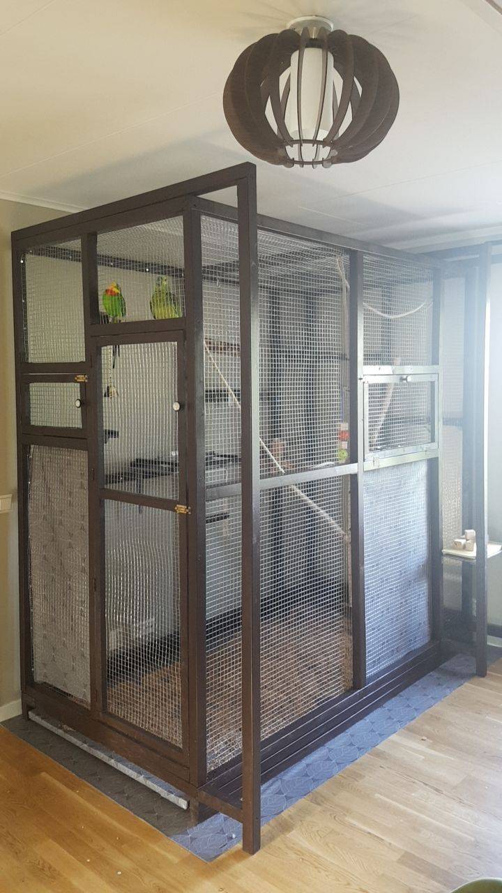 Built an Aviary | Scrolller