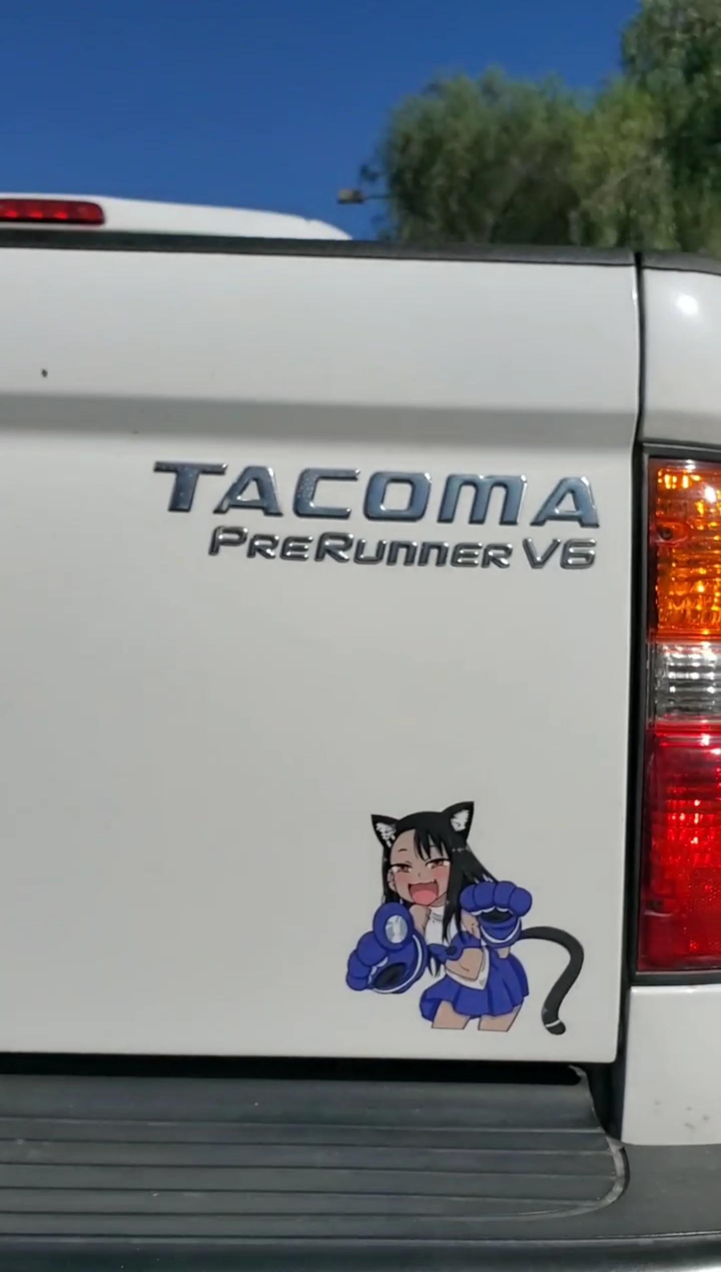 Bully On Board | Scrolller