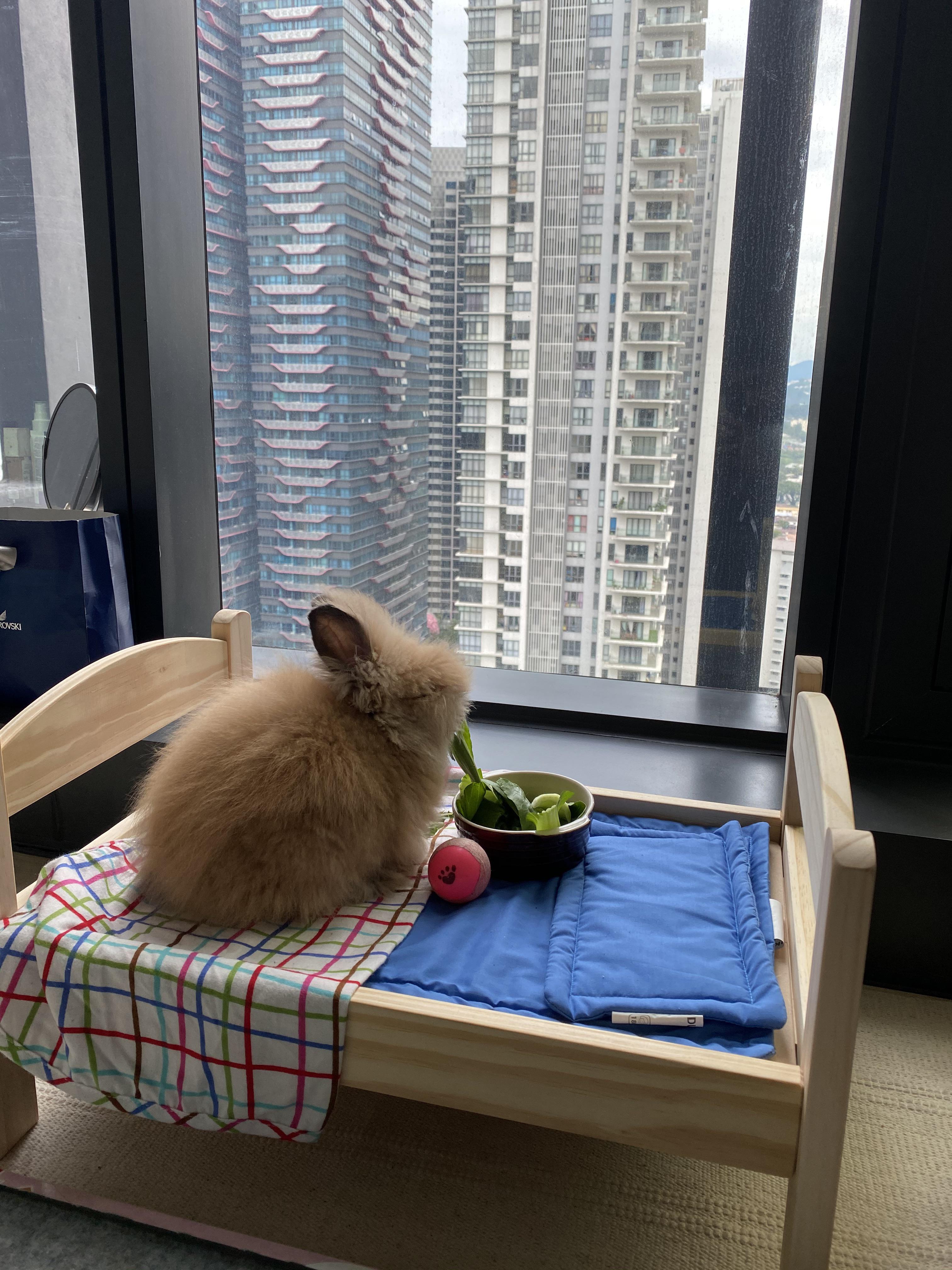 Bun is enjoying her life. | Scrolller