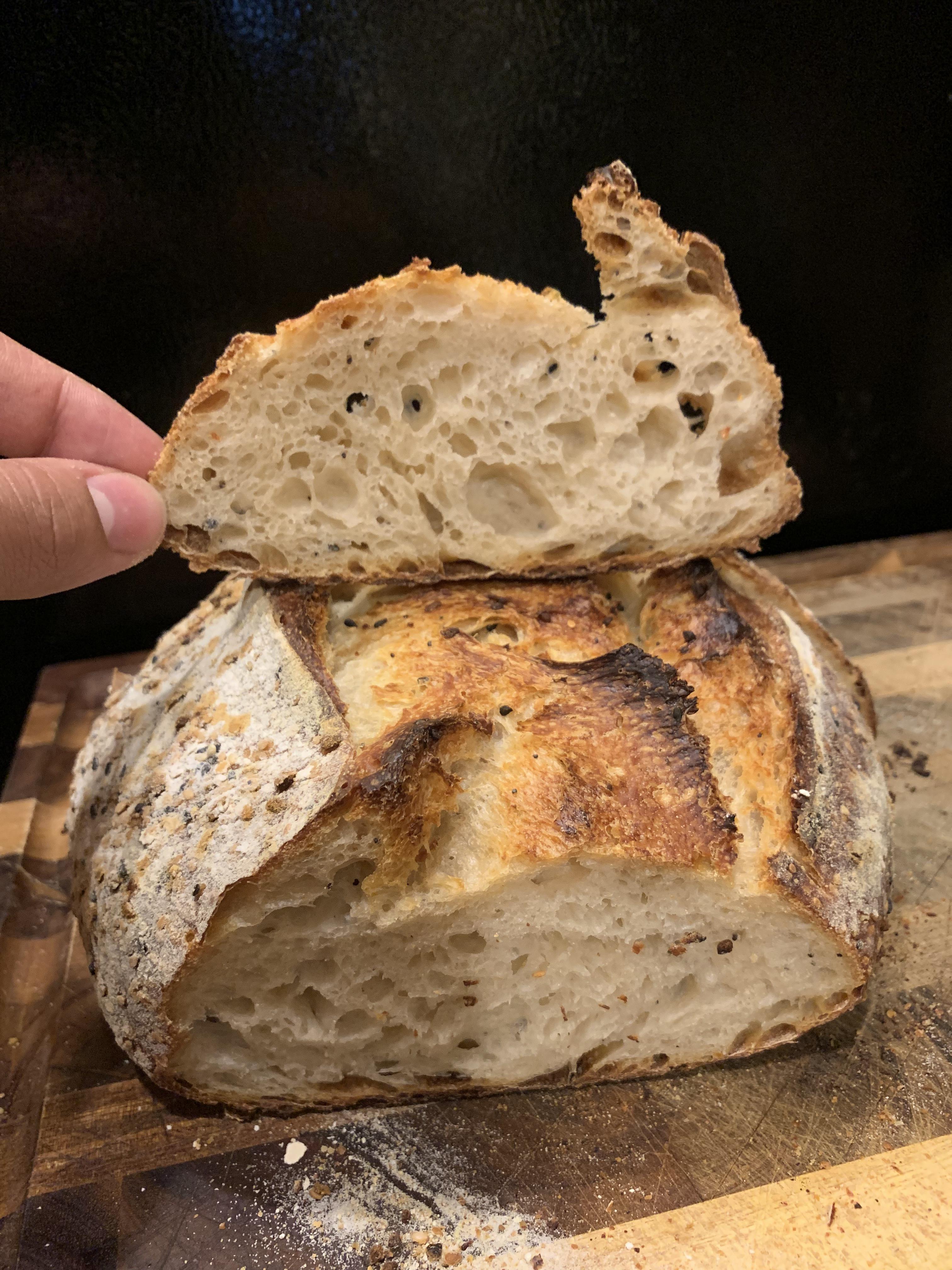 Bunny rabbit | Scrolller