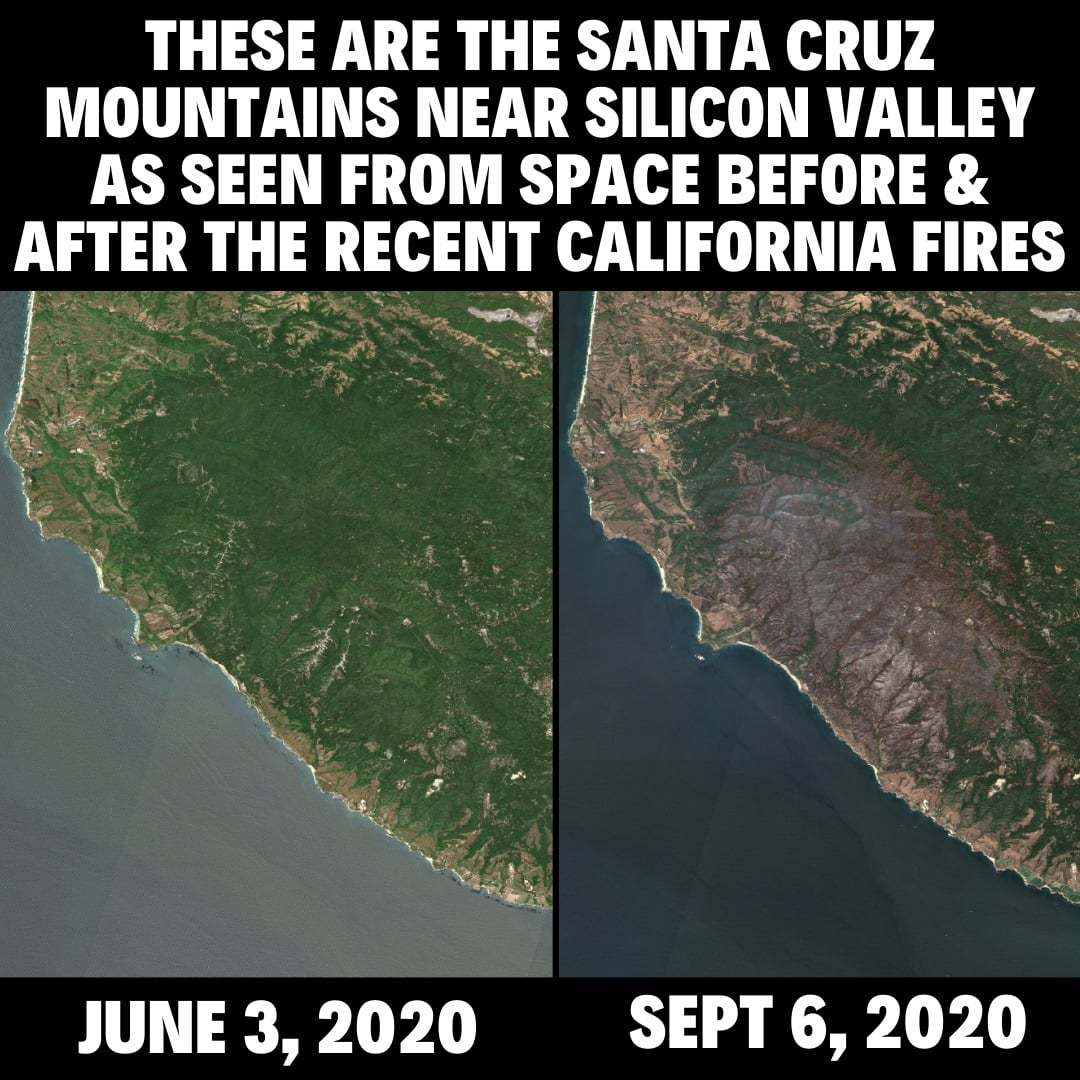 Burn scar from CZU lightning fire | Scrolller