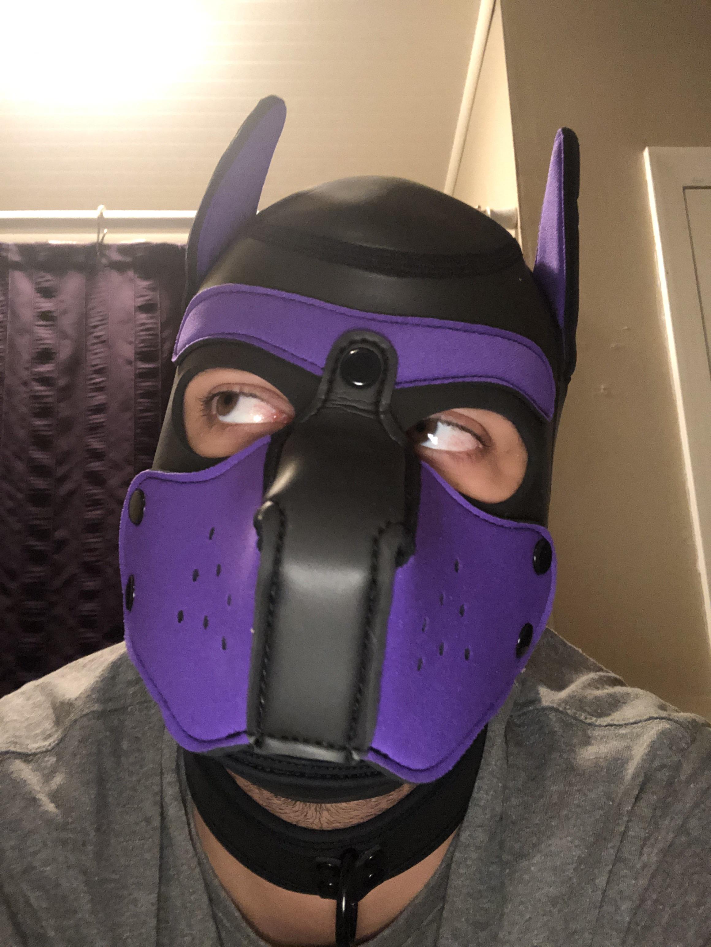 But am I really a good doggo?? | Scrolller