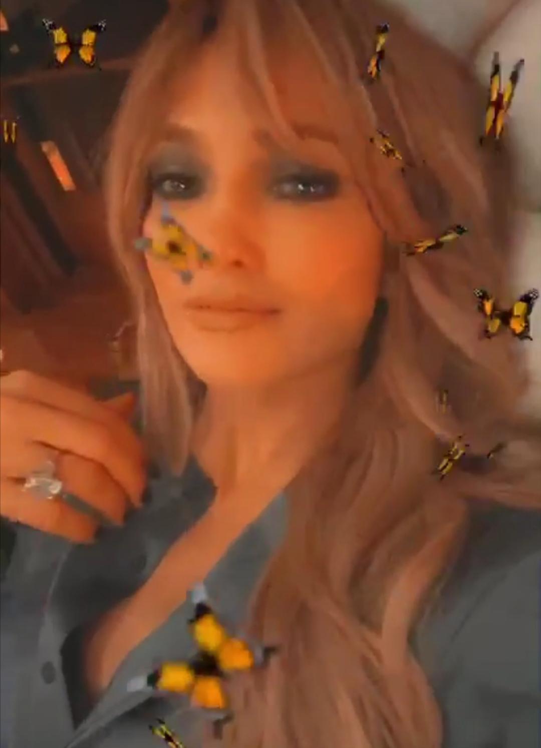 Butterflies | Scrolller