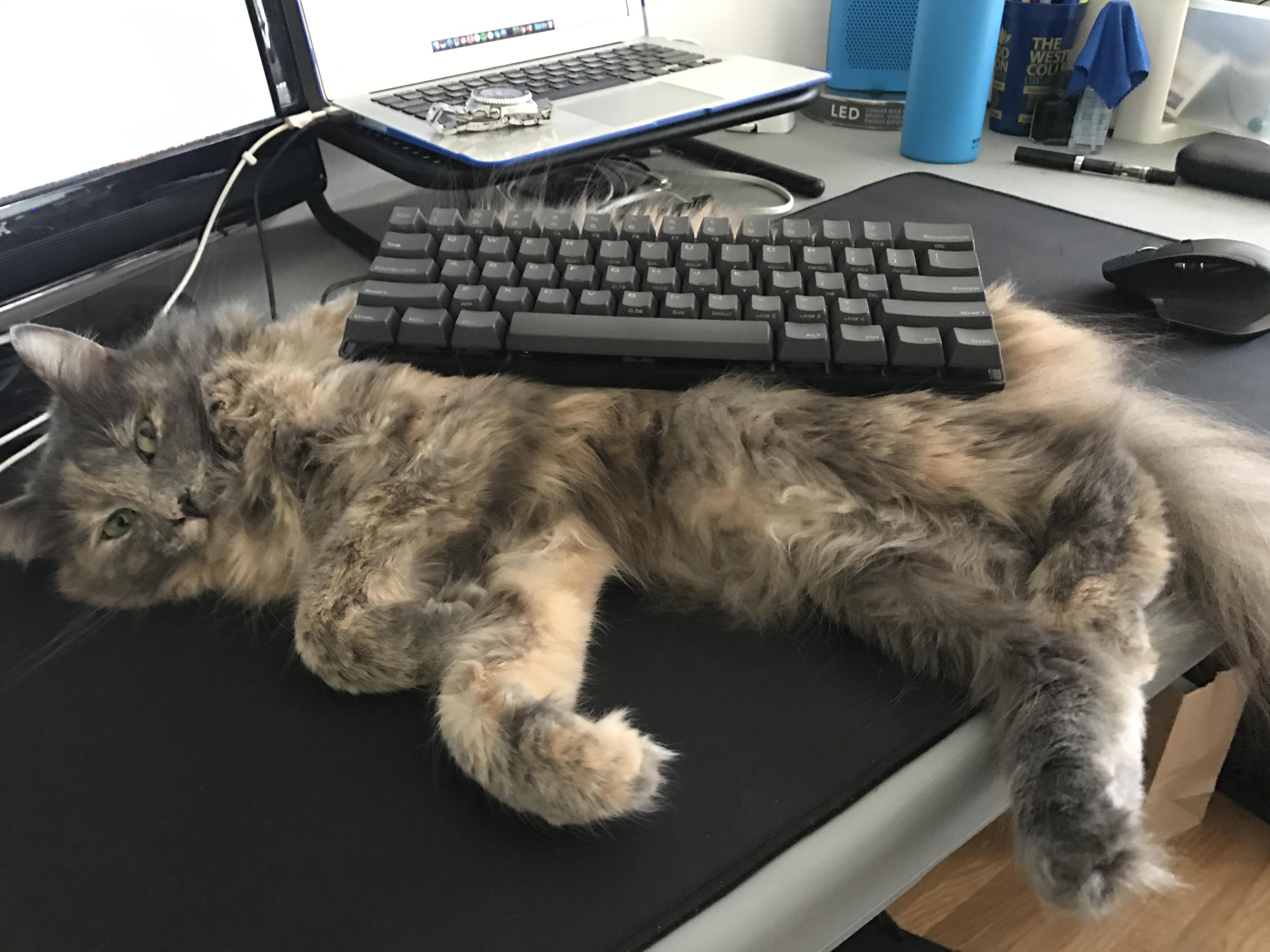 Buttons On My Buttons Scrolller