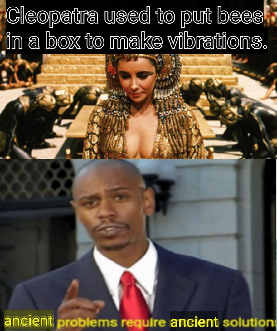 Buzz buzz | Scrolller