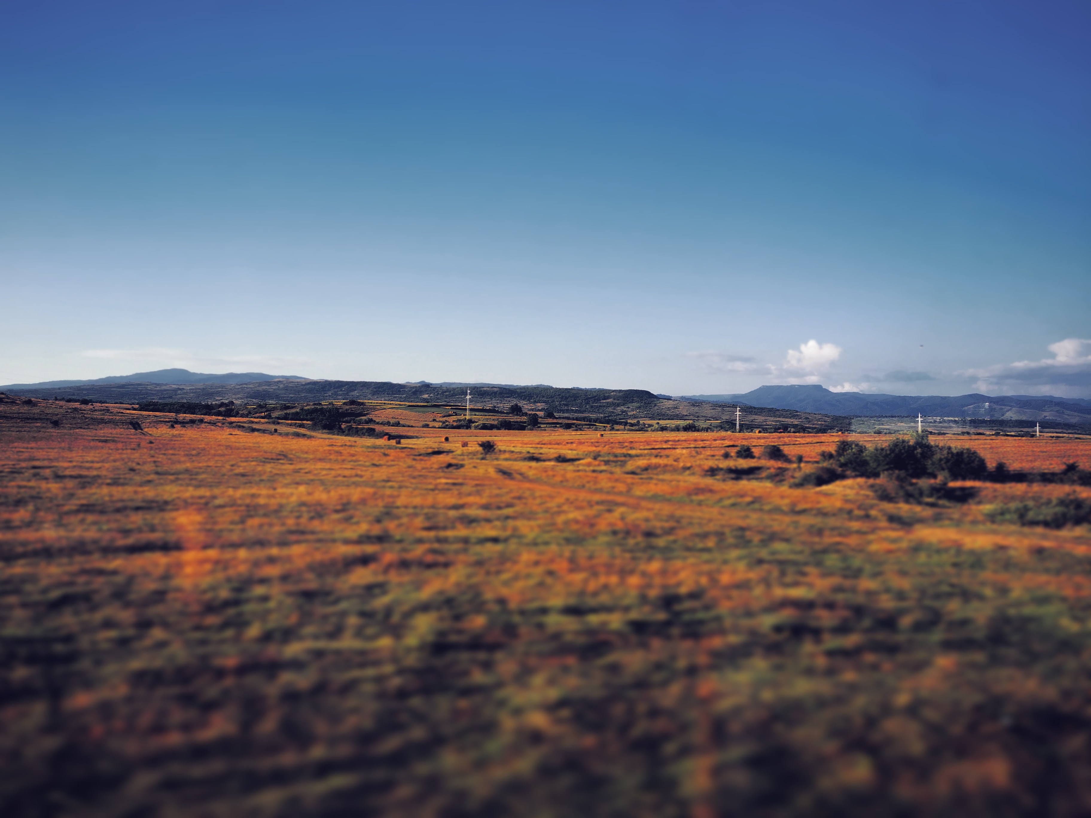 Călimani mountains from far away, August 2020, Romania | Scrolller