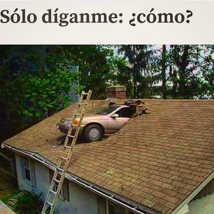 ¿Cómo? | Scrolller